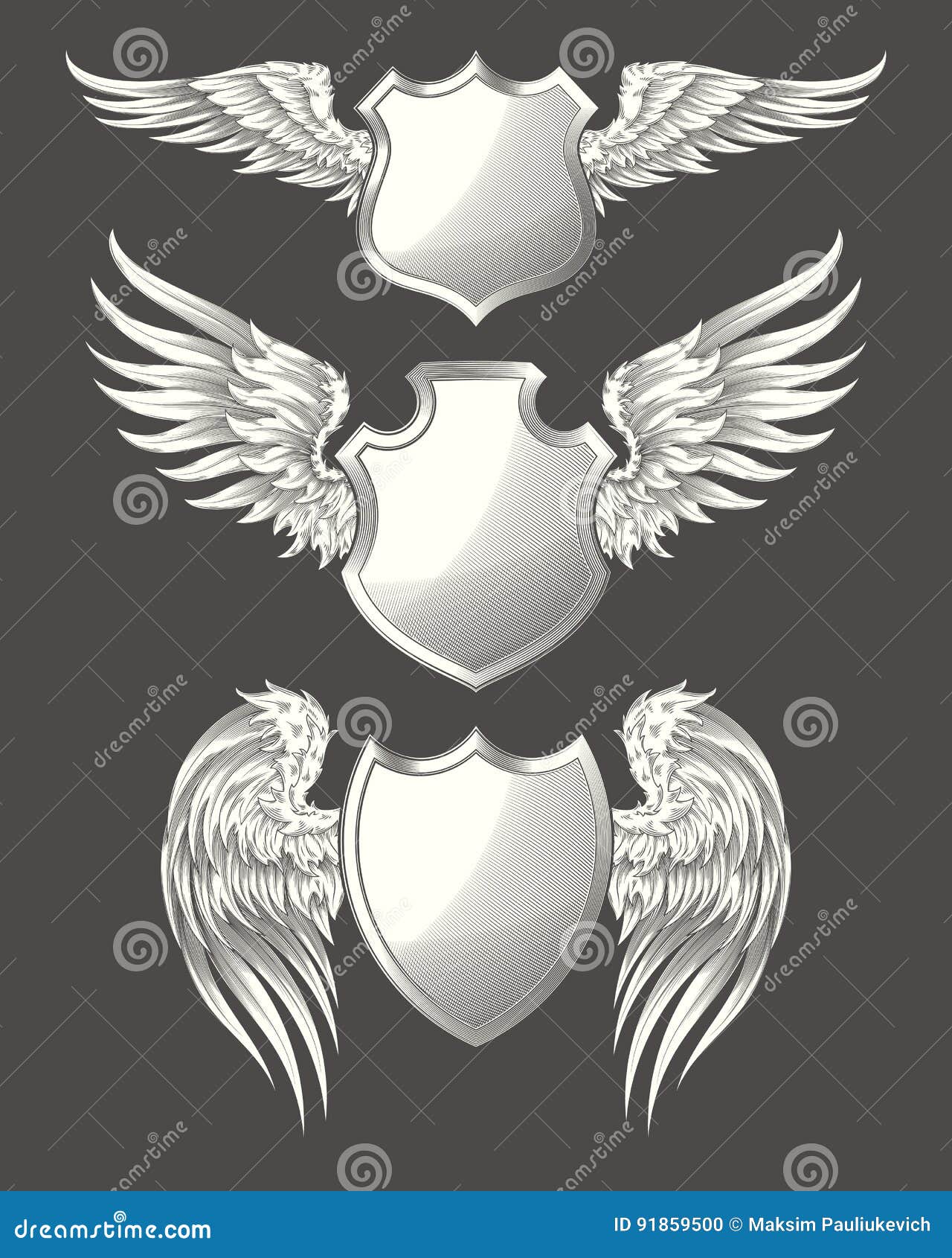 Set of Vector Angelic or Bird Wings with Heraldic Shields Stock Vector ...