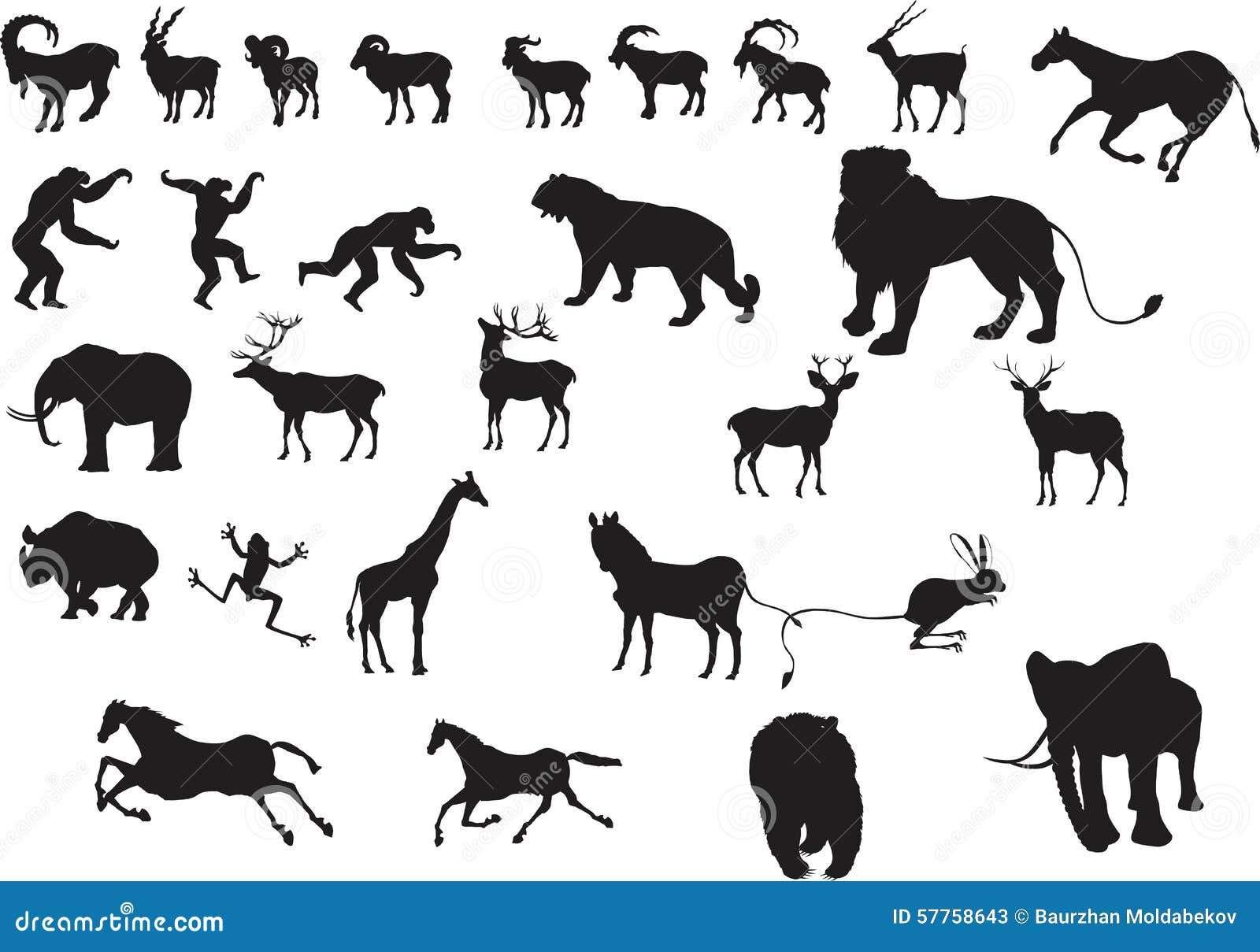 A Set of Vector Animals Silhouettes Stock Vector - Illustration of bird ...