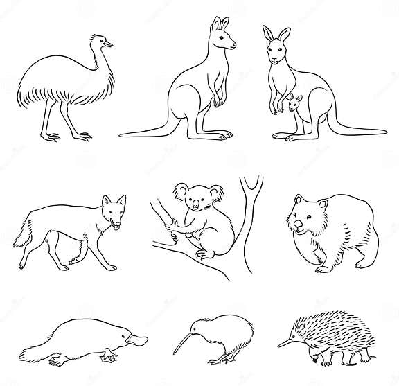 Set of Vector Australian Animals in Contours Stock Vector ...