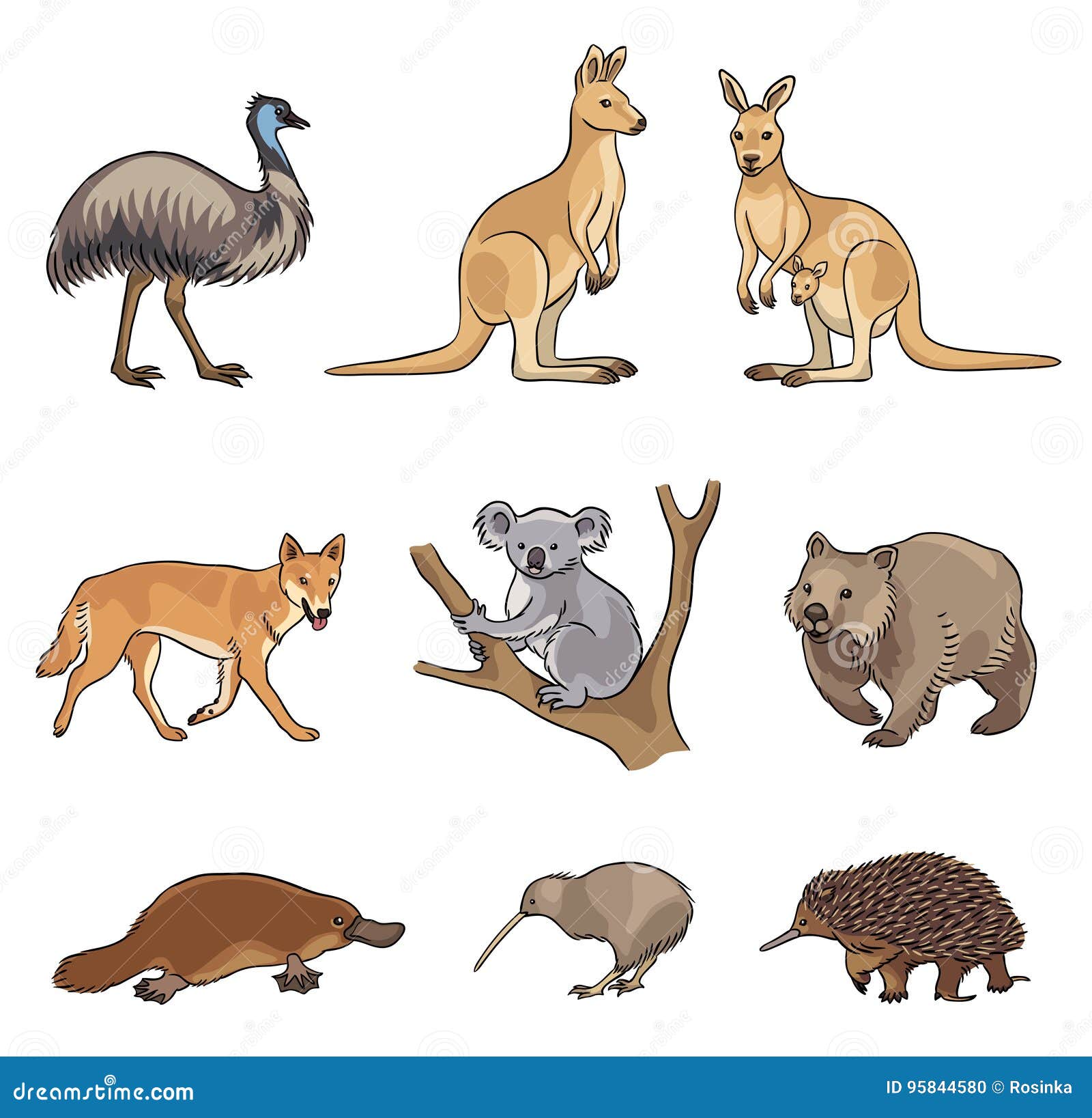 Set of Vector Australian Animals Stock Vector - Illustration of ...