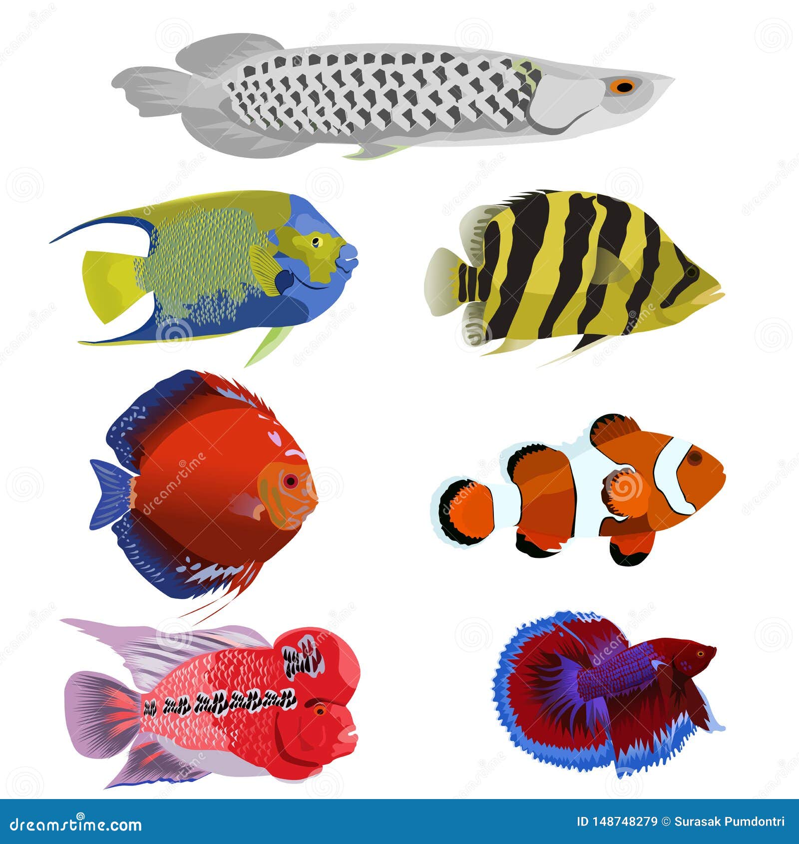 Set Vector of Beautiful Fish on a White Background Stock Vector ...