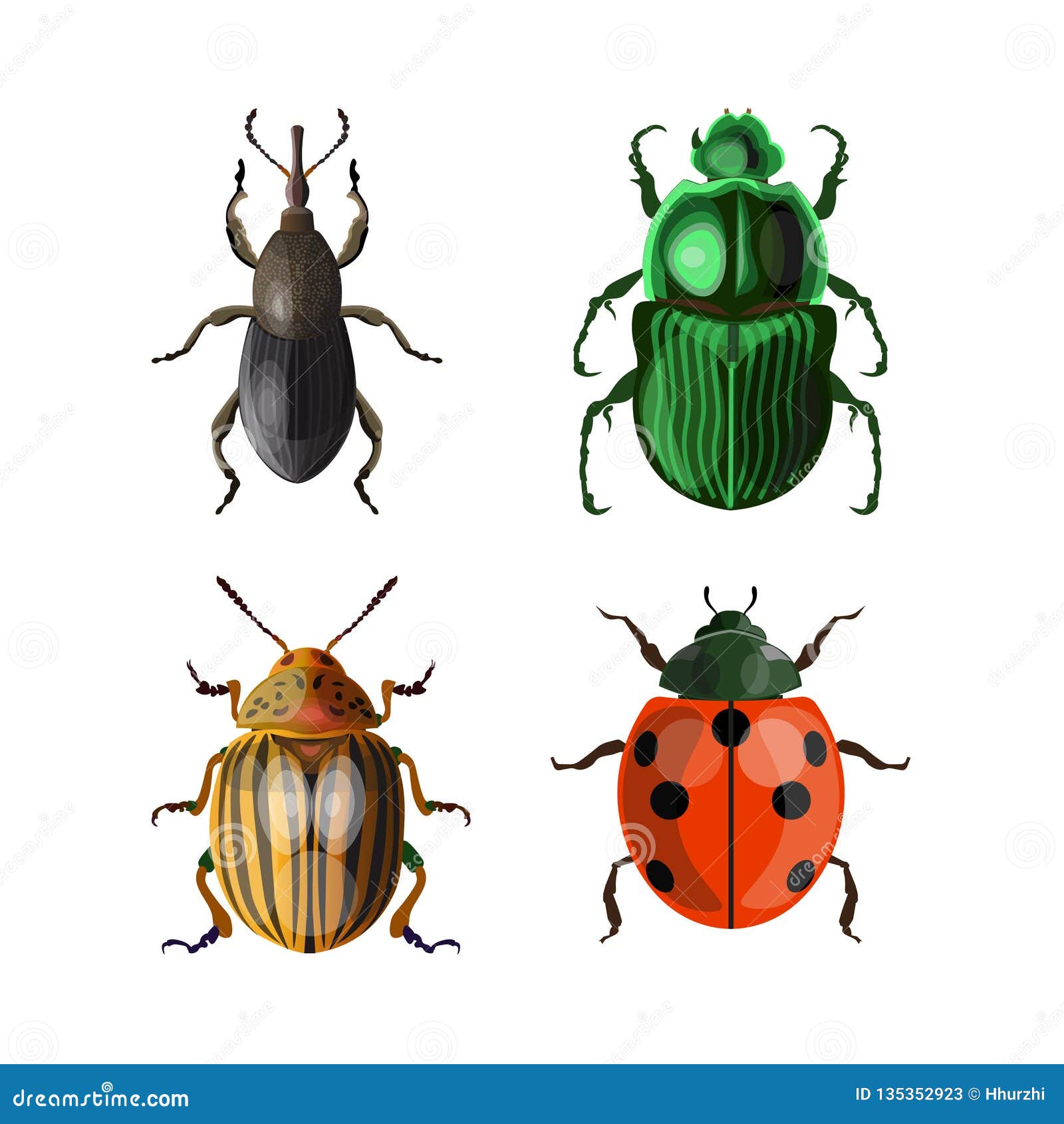 Set Of Vector Beetles | CartoonDealer.com #135352923