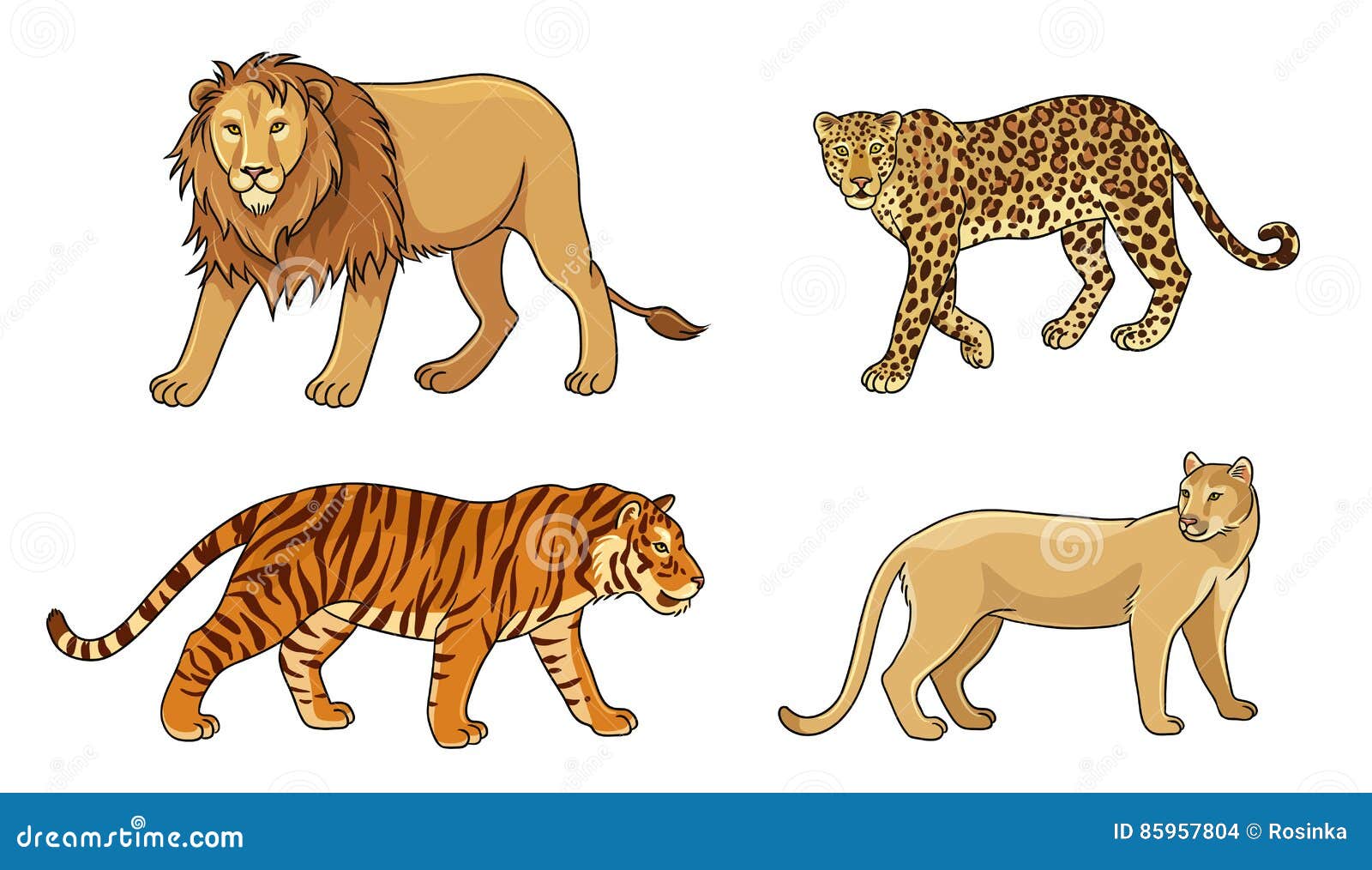 Set of vector big cats stock vector. Illustration of simple - 85957804