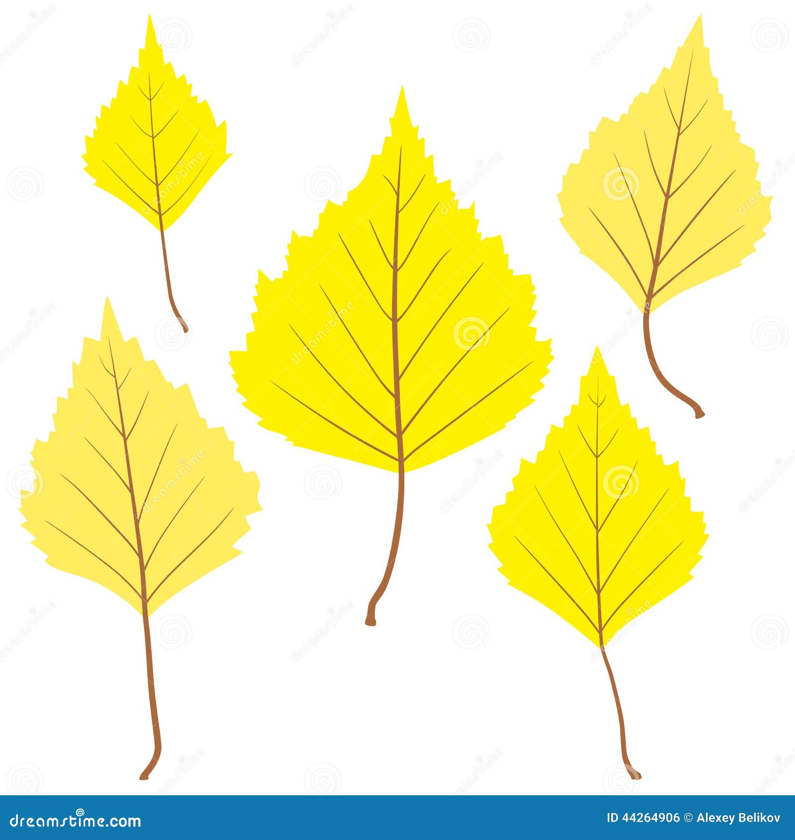 Set of Vector Birch Leaves for Your Design Stock Vector - Illustration ...