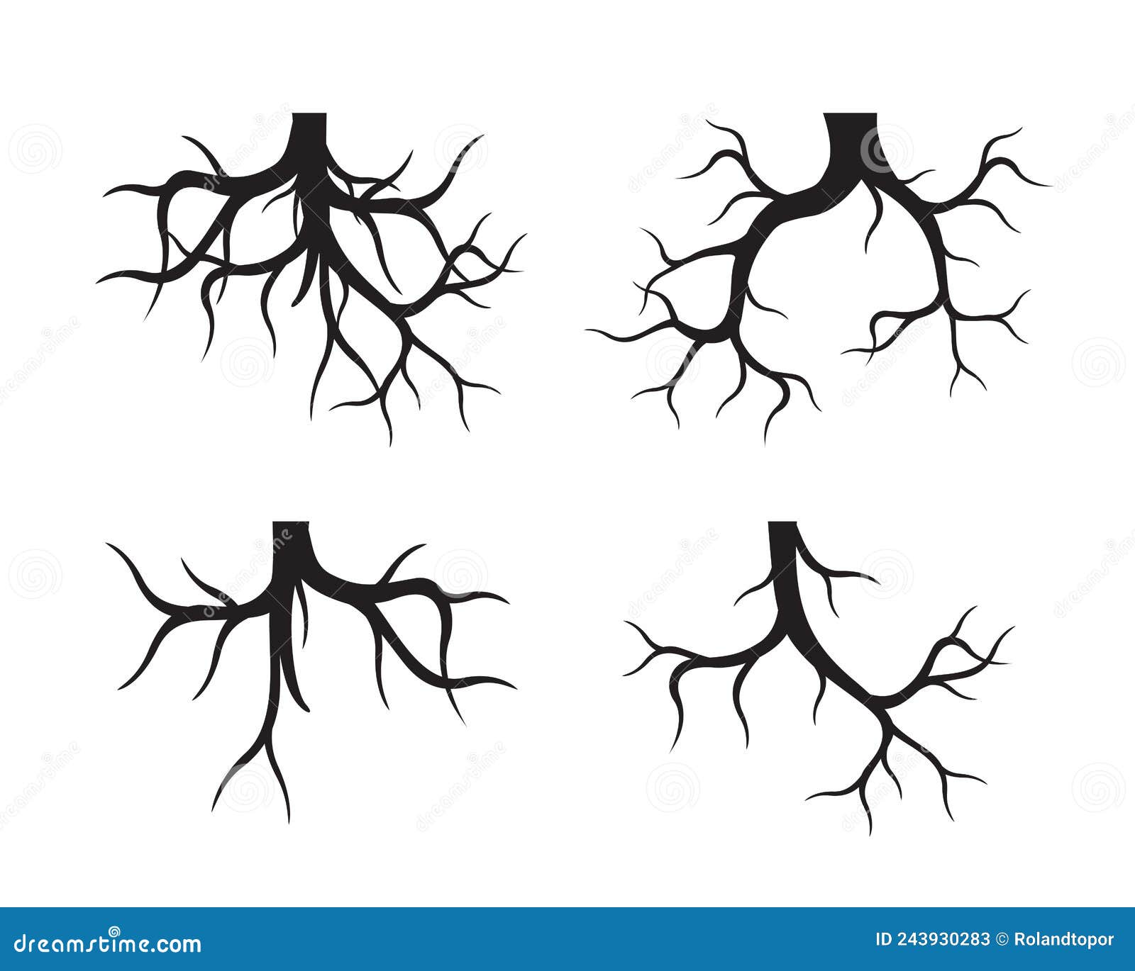 Set Vector Black Roots. Vector Outline Illustration Stock Vector ...