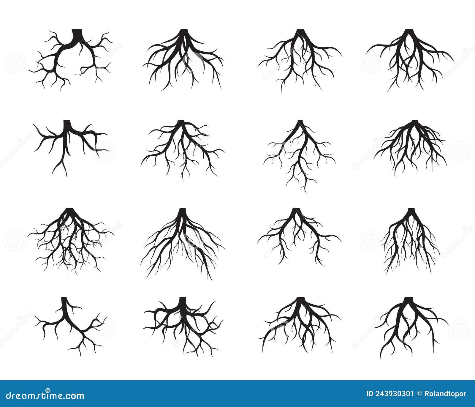 Set Vector Black Roots. Vector Outline Illustration Stock Vector ...