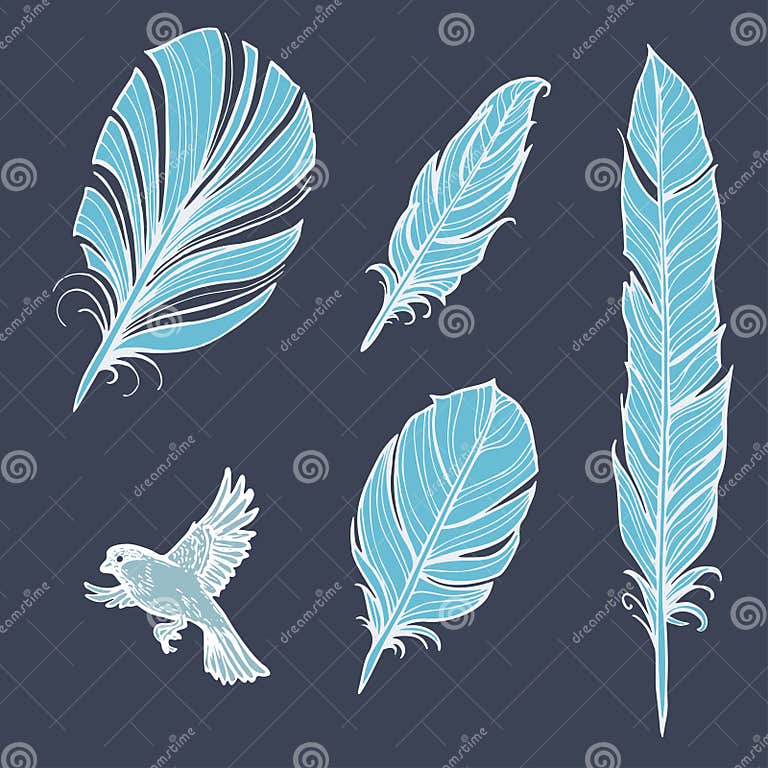 Set of Vector Blue Feathers on a Dark Background Stock Vector ...