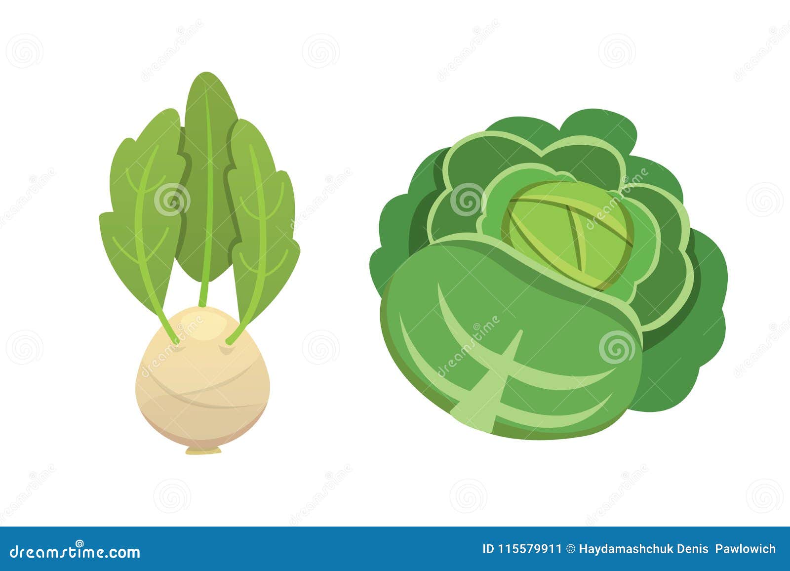 Lettuce Vegetable Logo. Round Linear Of Lettuce Vector Illustration ...