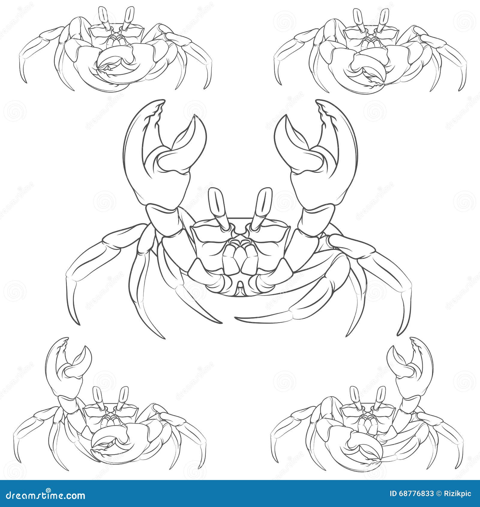 Set of Vector Crabs Illustrations. EPS10 Stock Vector - Illustration of ...
