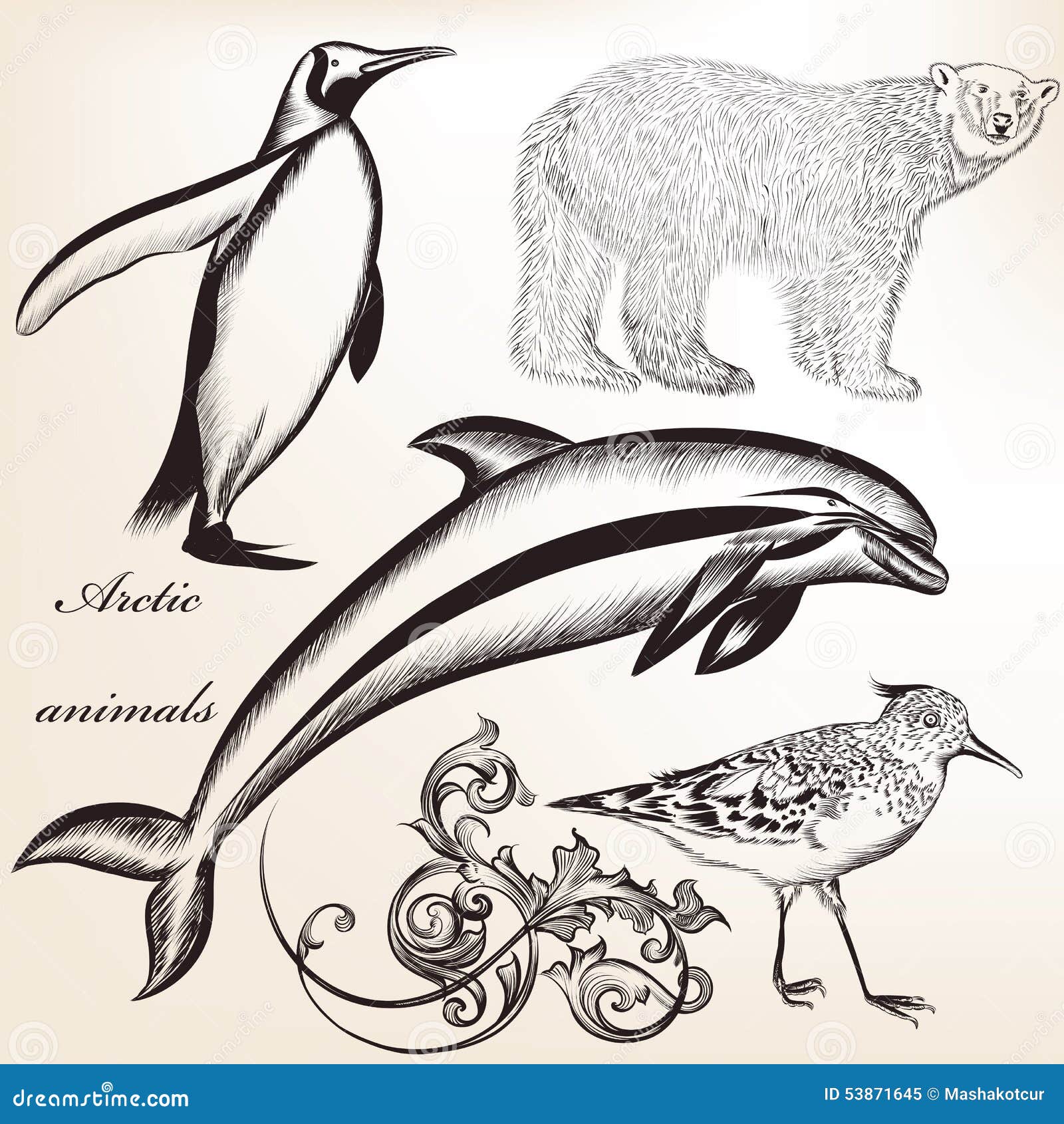 Set of Vector Detailed Animals for Design Stock Vector - Illustration ...