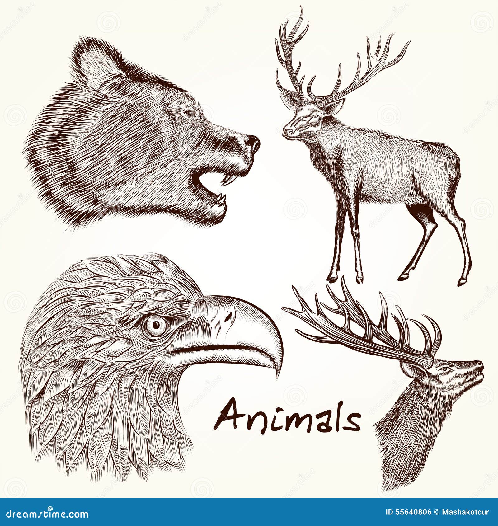 Set of Vector Detailed Animals for Design Stock Vector - Illustration ...