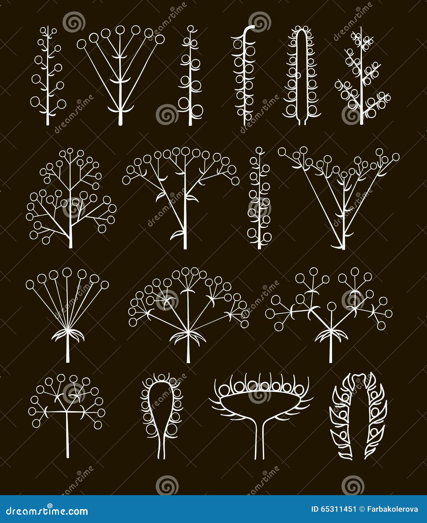 Set of Vector Different Types of Inflorescence Stock Vector ...
