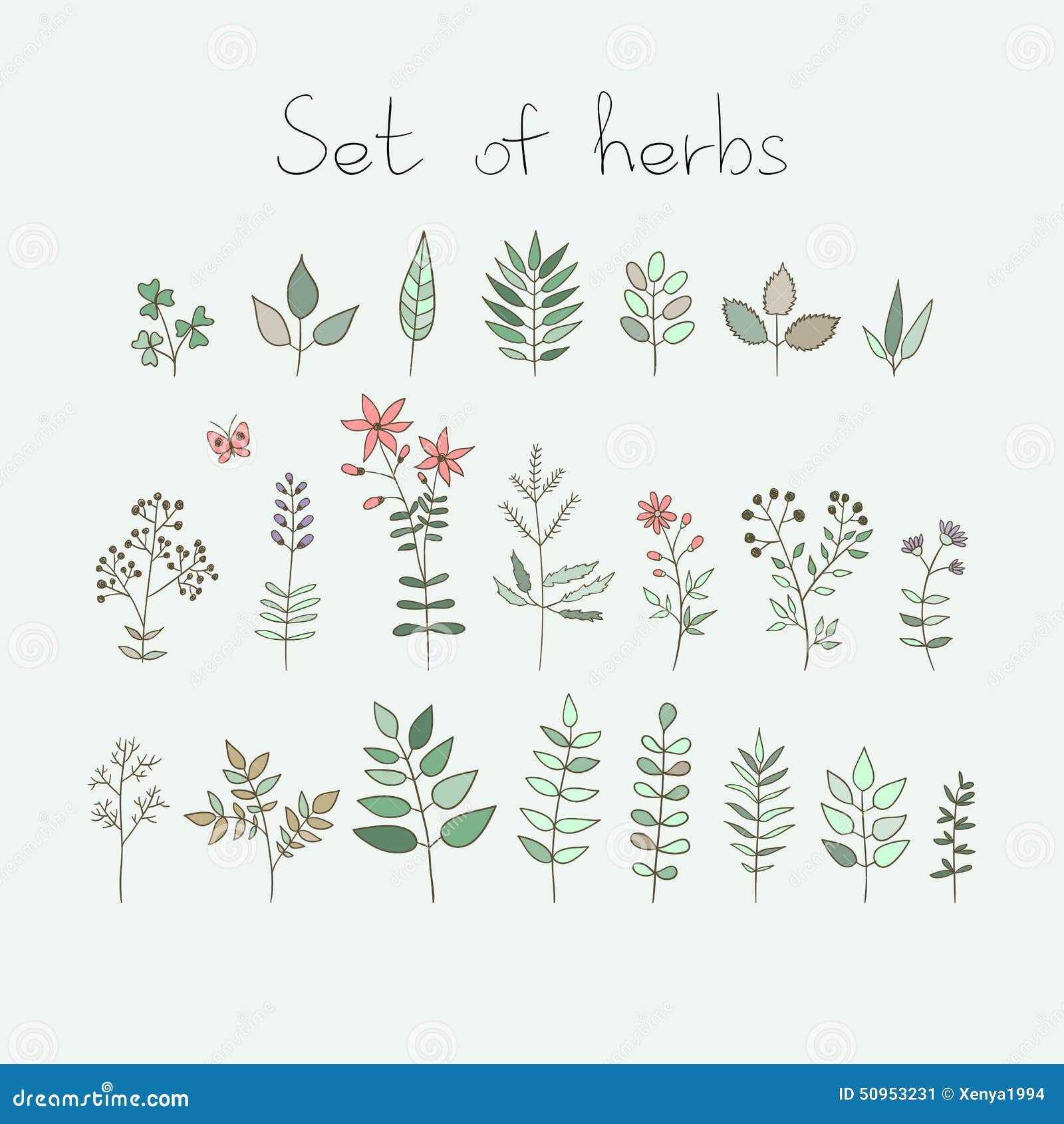 Set of Vector Doodle Herbs and Flowers Stock Vector - Illustration of ...