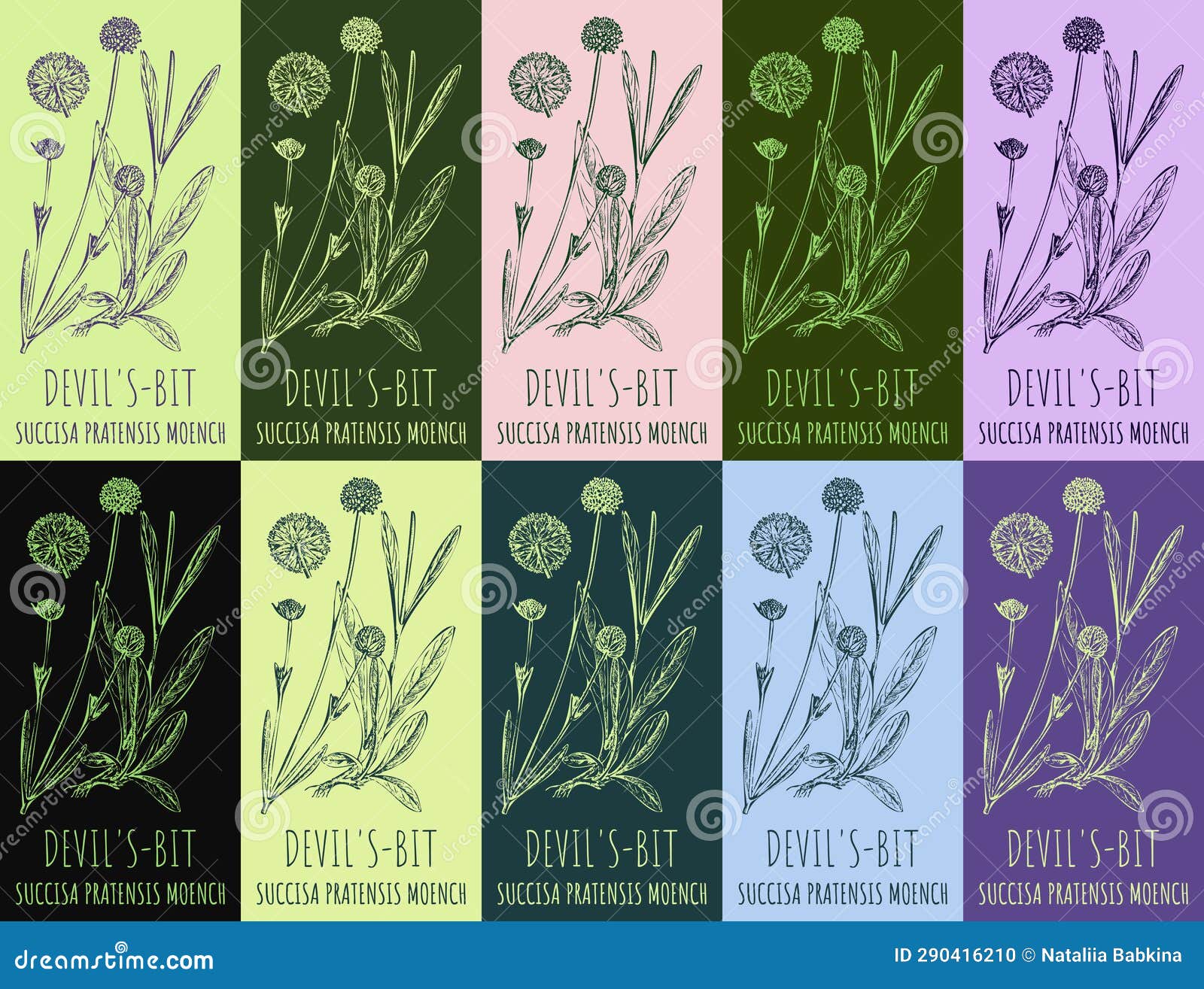 Set of Vector Drawing of DEVIL S-BIT in Various Colors. Hand Drawn ...