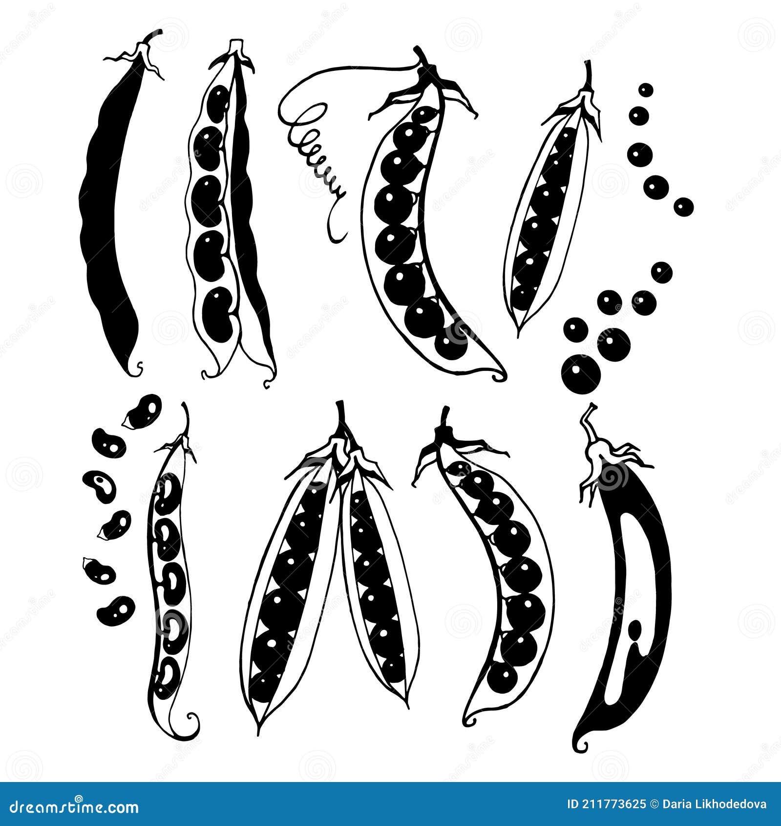 Drawing Peas Stock Illustrations – 4,773 Drawing Peas Stock ...