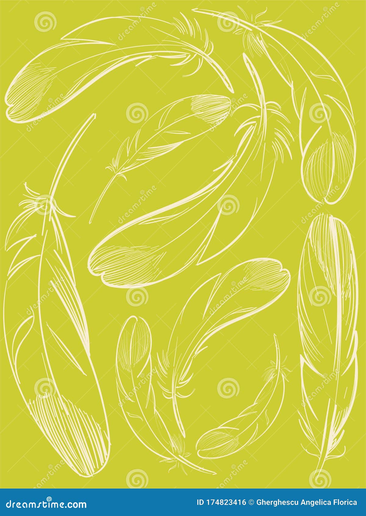 Set of Vector Feathers - Vector Stock Vector - Illustration of ...