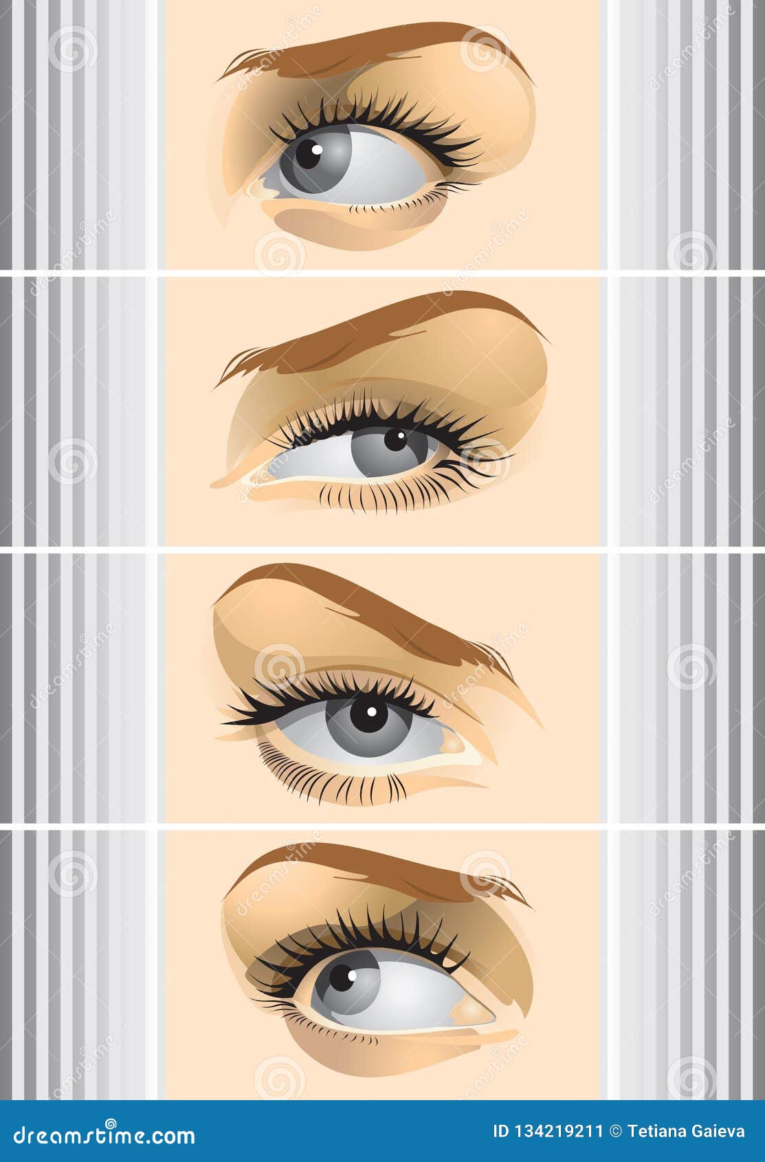 Set of vector female eyes stock vector. Illustration of attractive ...