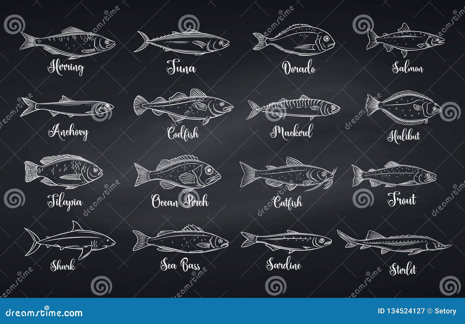 Set vector fish stock vector. Illustration of icon, ingredient - 134524127 Set vector fish stock vector. Illustration of icon, ingredient - 134524127