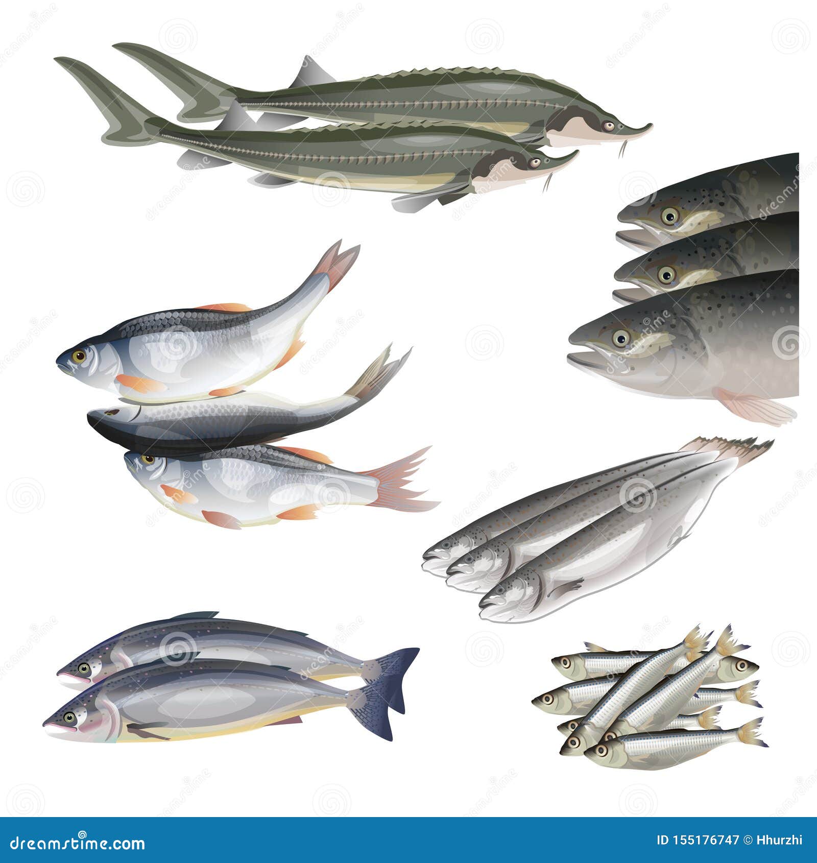 Set of vector fish stock vector. Illustration of isolated - 155176747