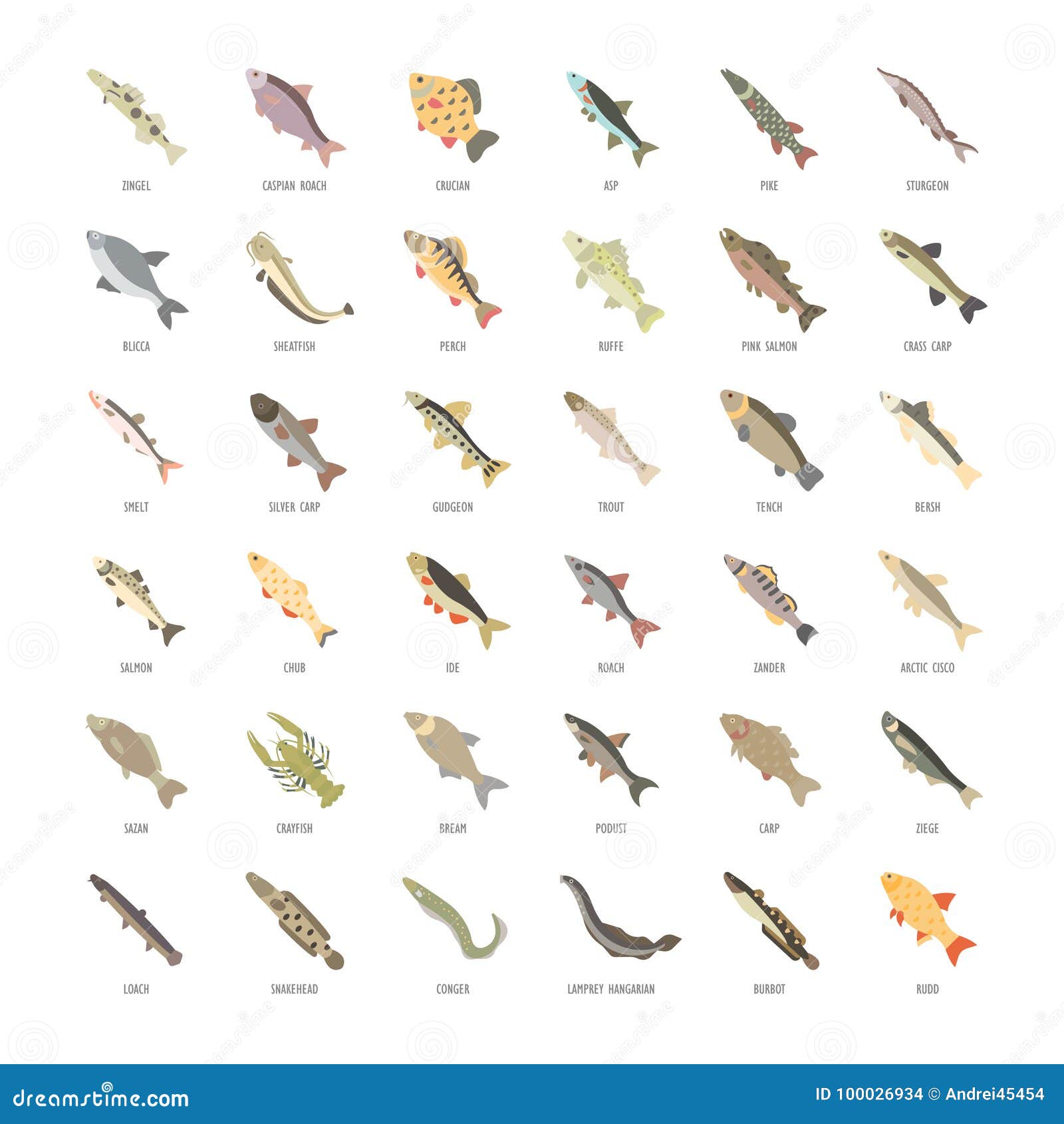 Set Vector Flat Icons of Freshwater Fish Stock Illustration ...