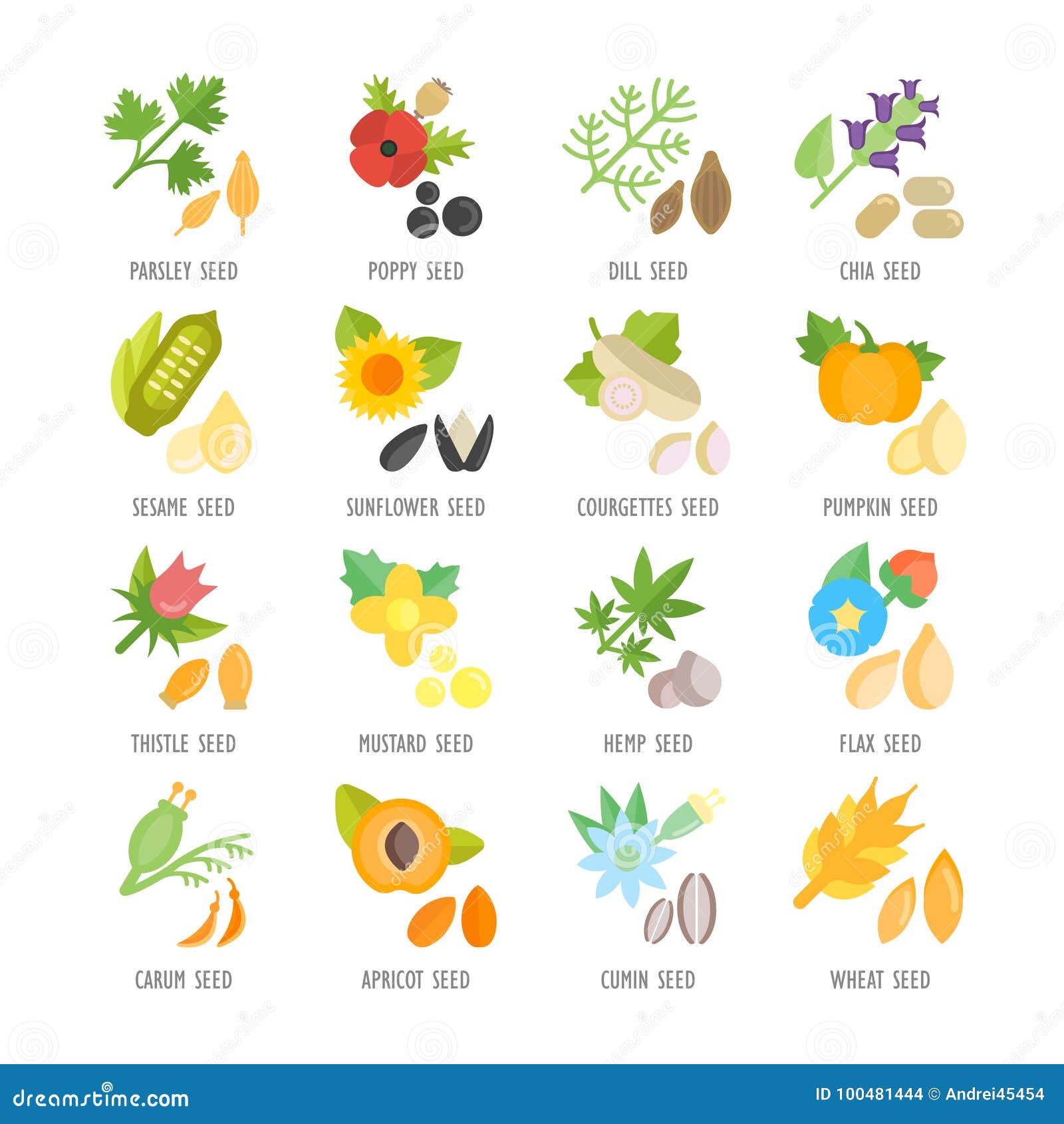 Set Vector Flat Icons of Seeds Stock Illustration - Illustration of ...