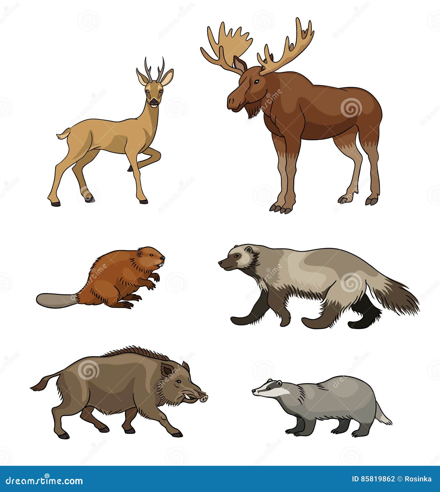 Animals Of The Taiga Vector Cartoon Vector | CartoonDealer.com #43692853