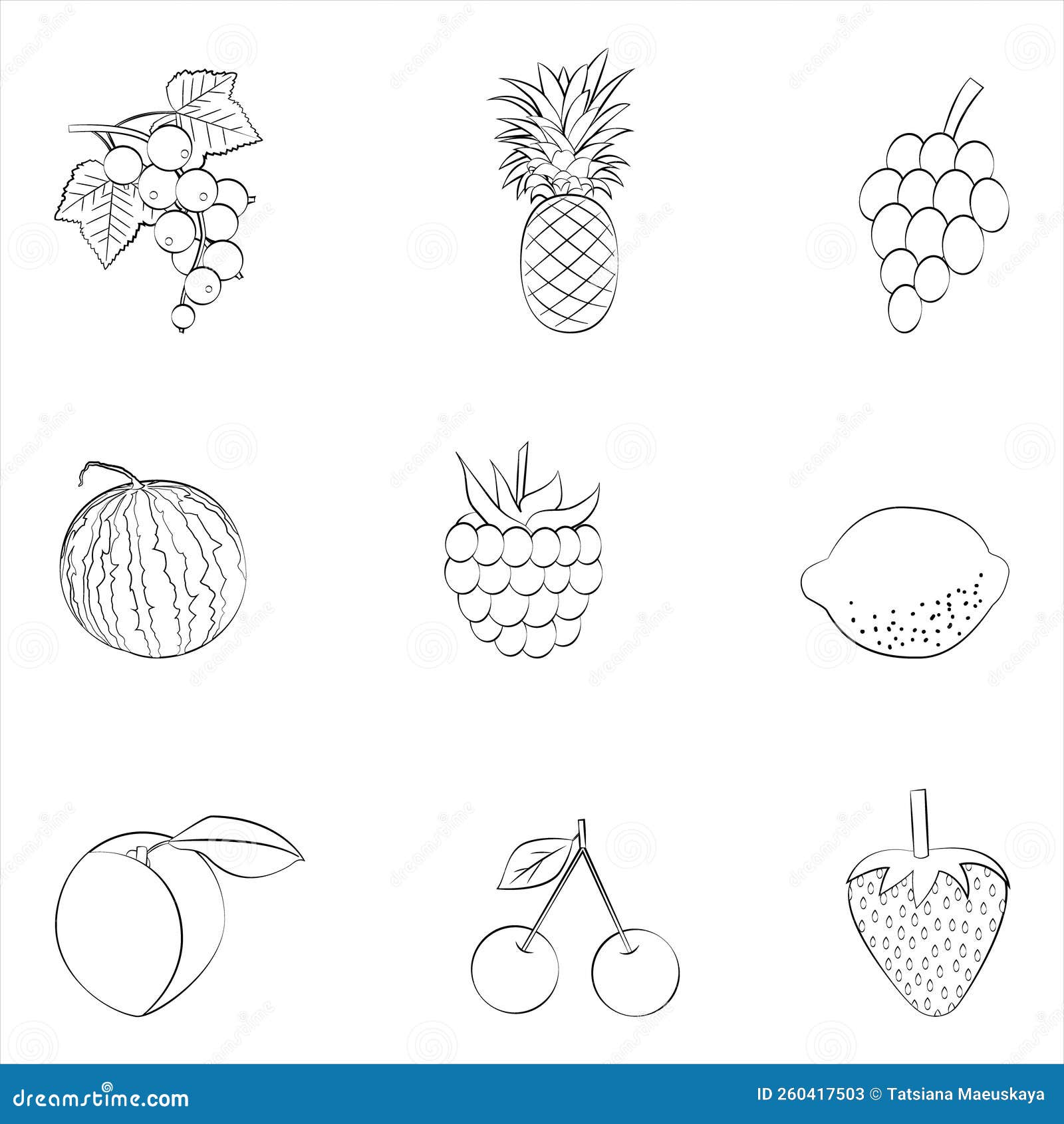 A Set of Vector Fruits of a Thin Line Stock Vector - Illustration of ...
