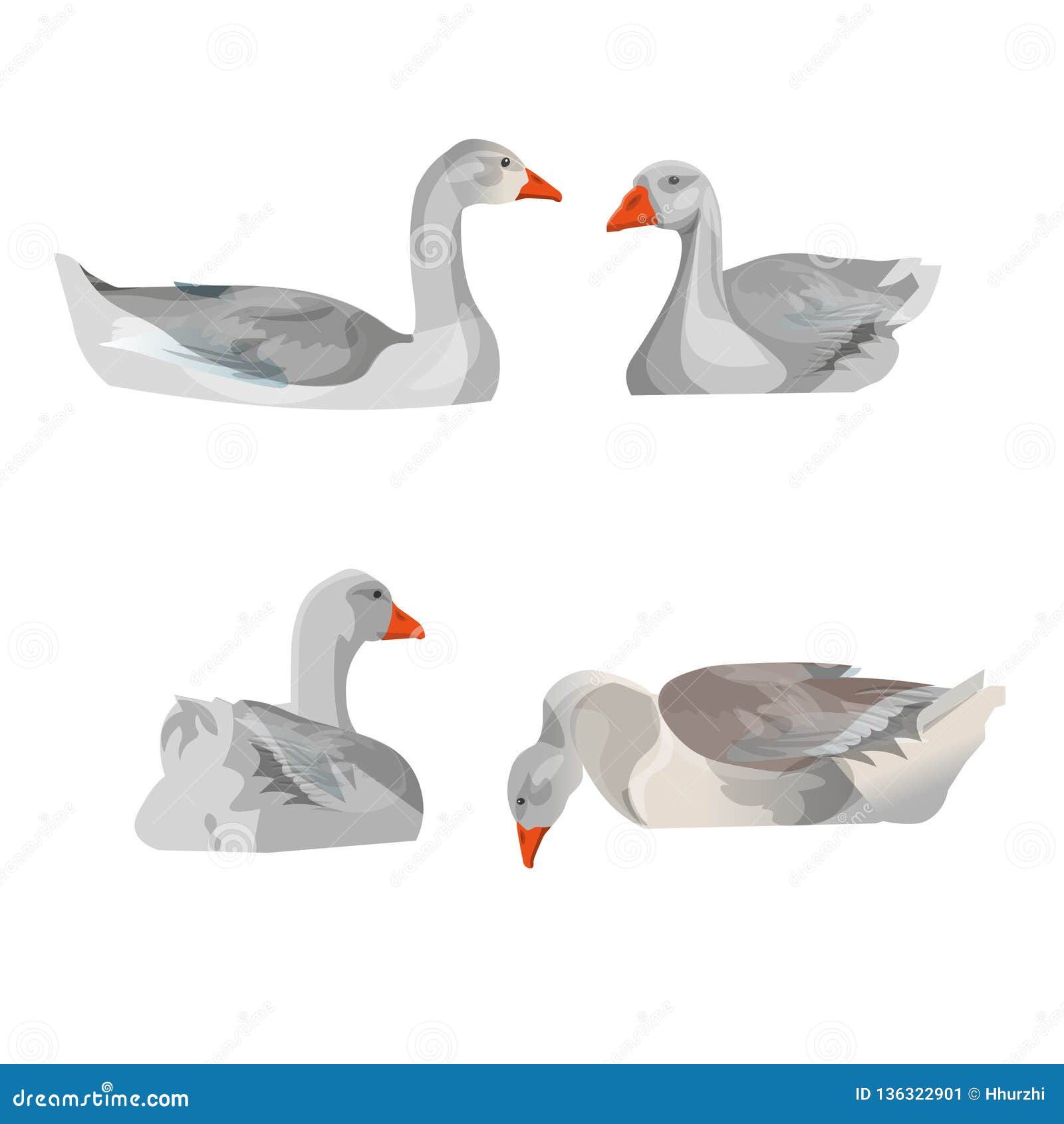 Set of vector geese stock vector. Illustration of plumage - 136322901