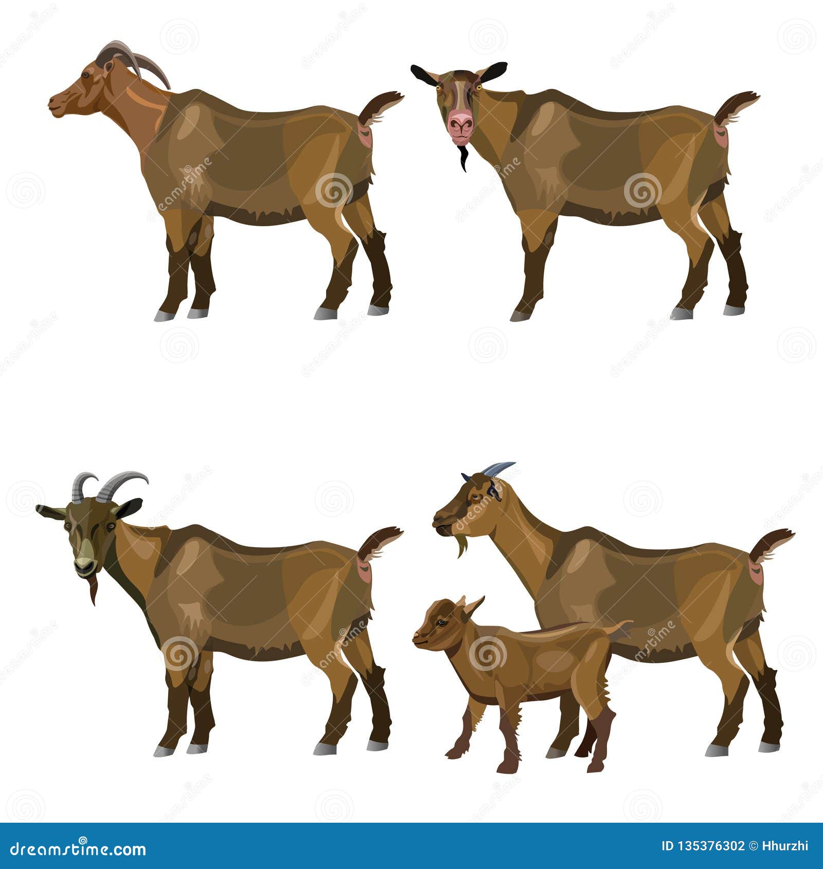 Vector Set Of Goats. Silhouette, Sketch And Cartoon Illustrations ...