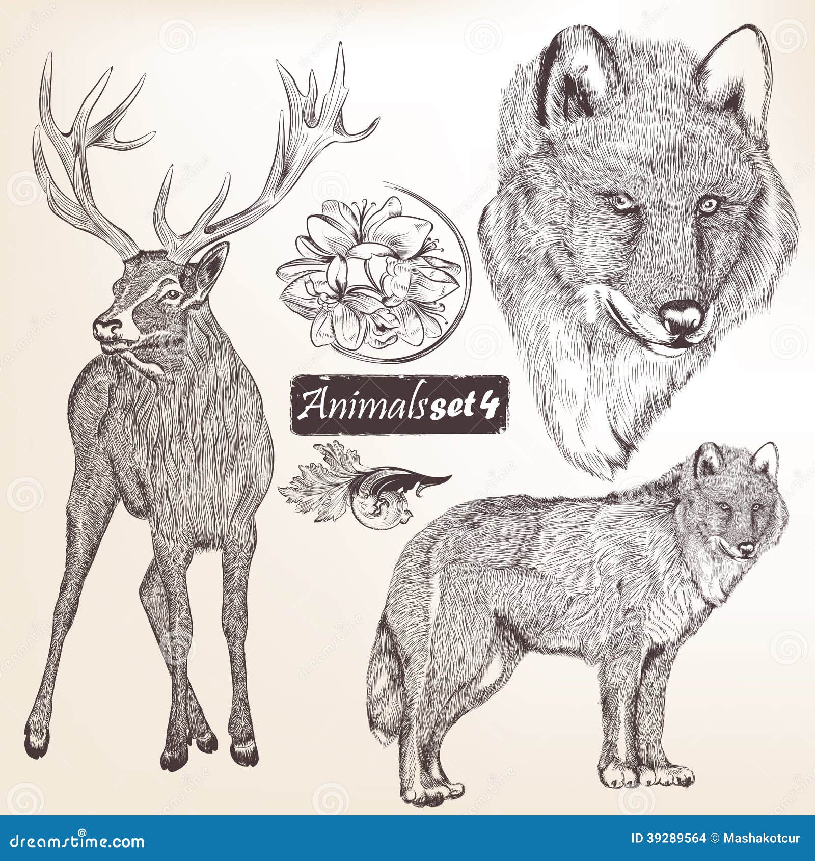 Set of Vector Hand Drawn Detailed Animals for Design Stock Vector ...