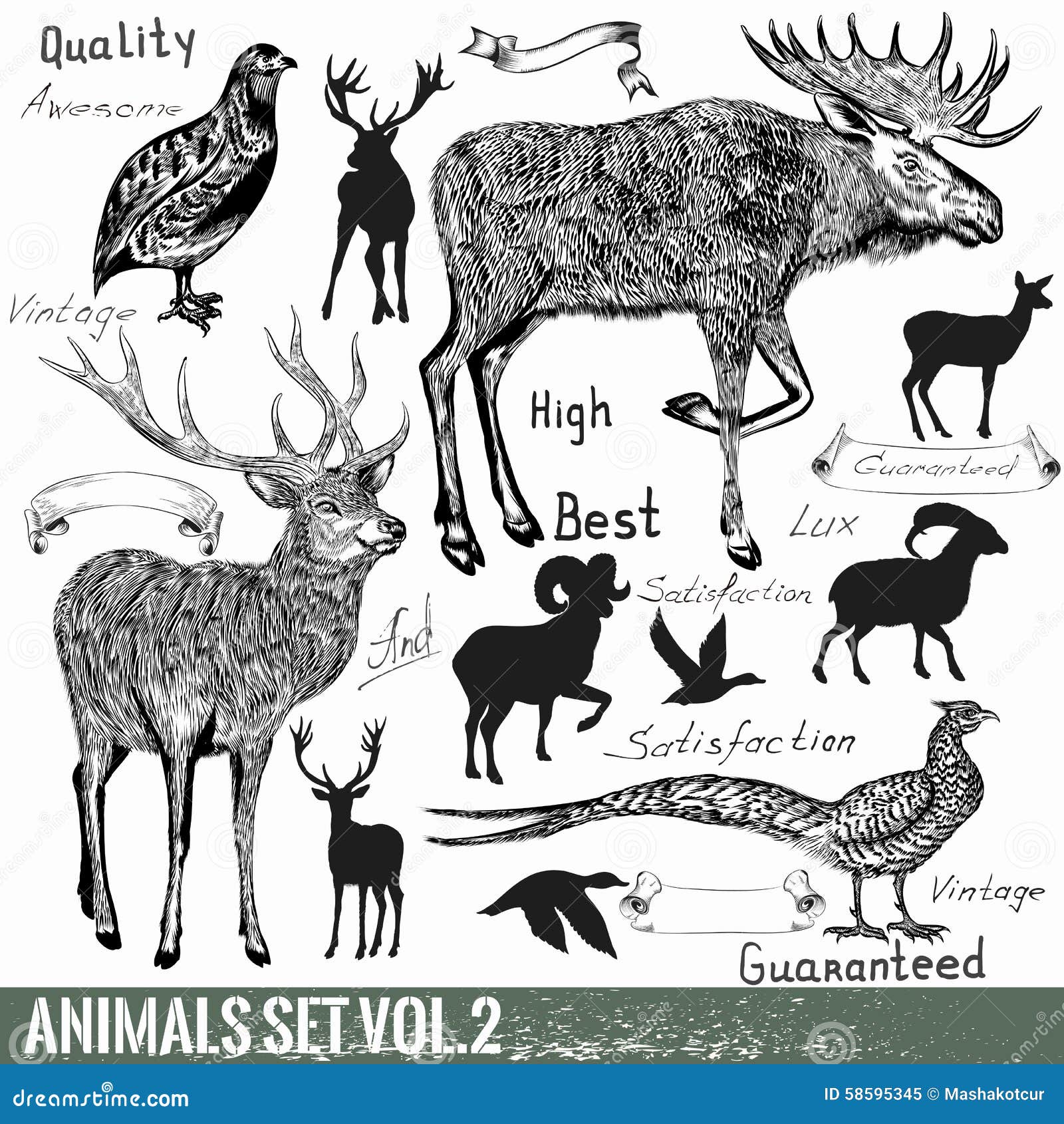 Set of Vector Hand Drawn Detailed Wild Animals Stock Vector ...