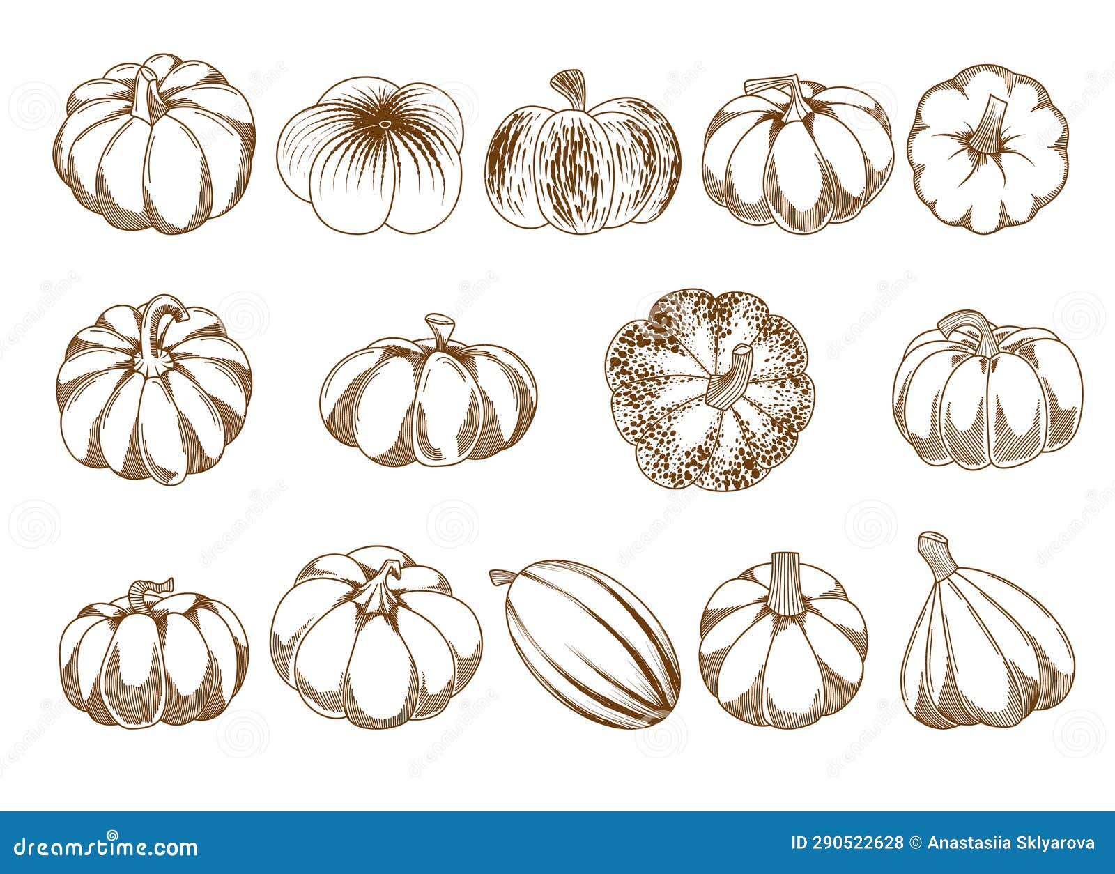 Set of Vector Hand Drawn Different Varieties of Pumpkins Stock Vector - Illustration of clipart ...