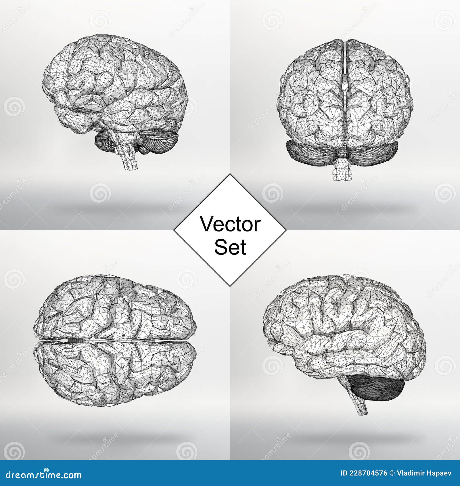 Set Vector Illustration Human Brain. the Structural Grid of Polygons ...