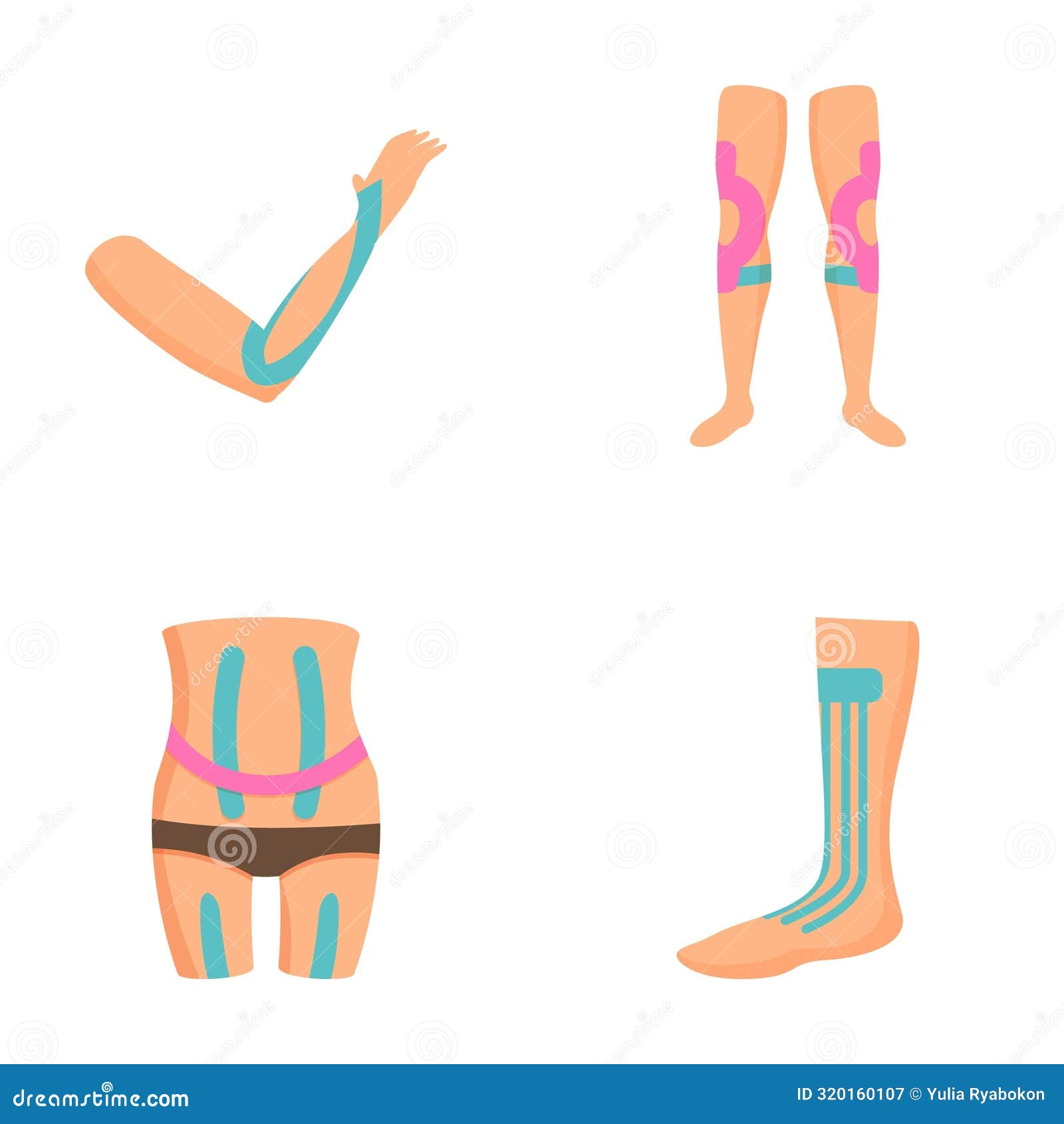 Human Body Joints and Support Illustrations Stock Vector - Illustration ...