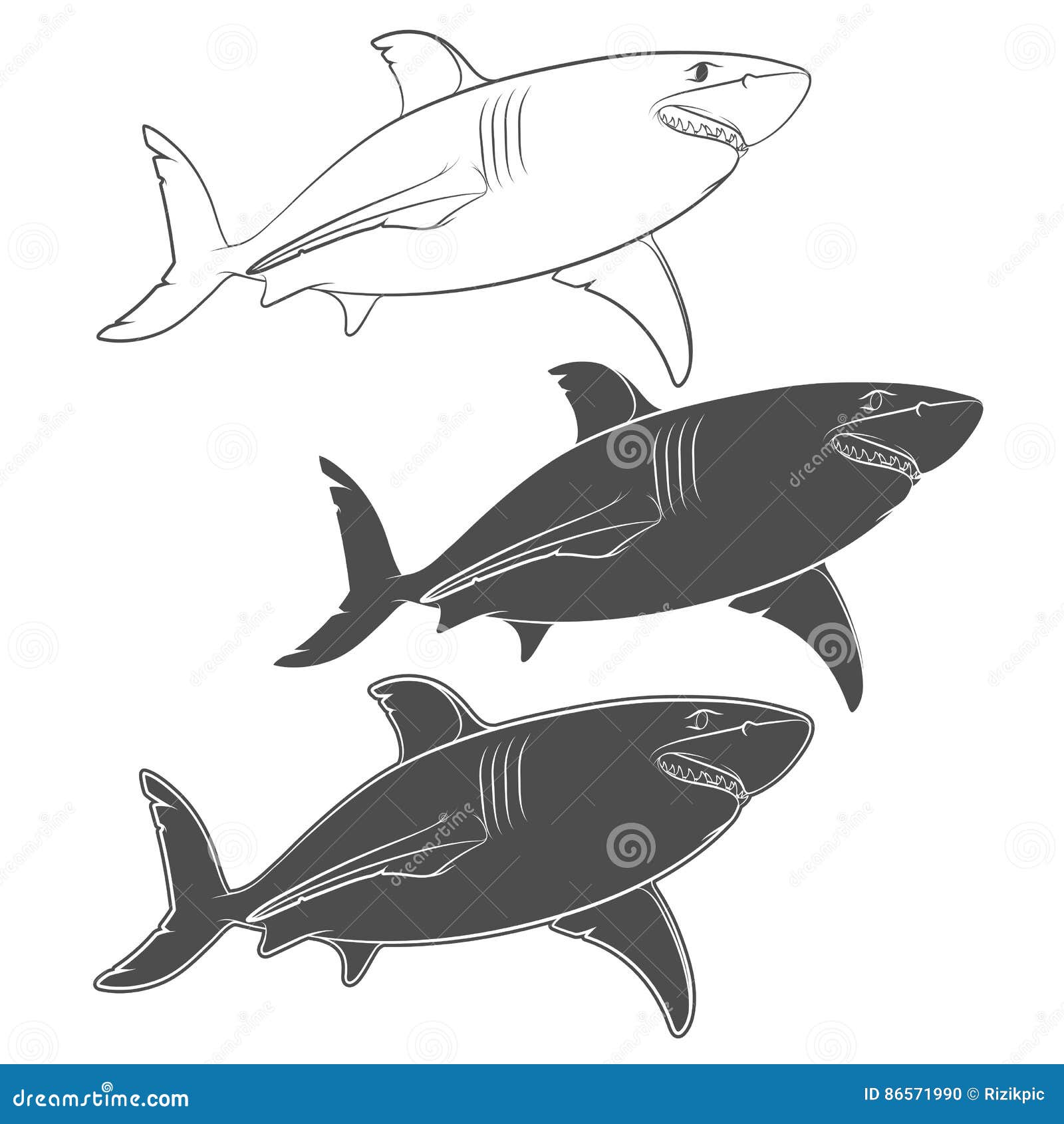 Set of Vector Illustrations with a Great White Shark. Stock Vector ...