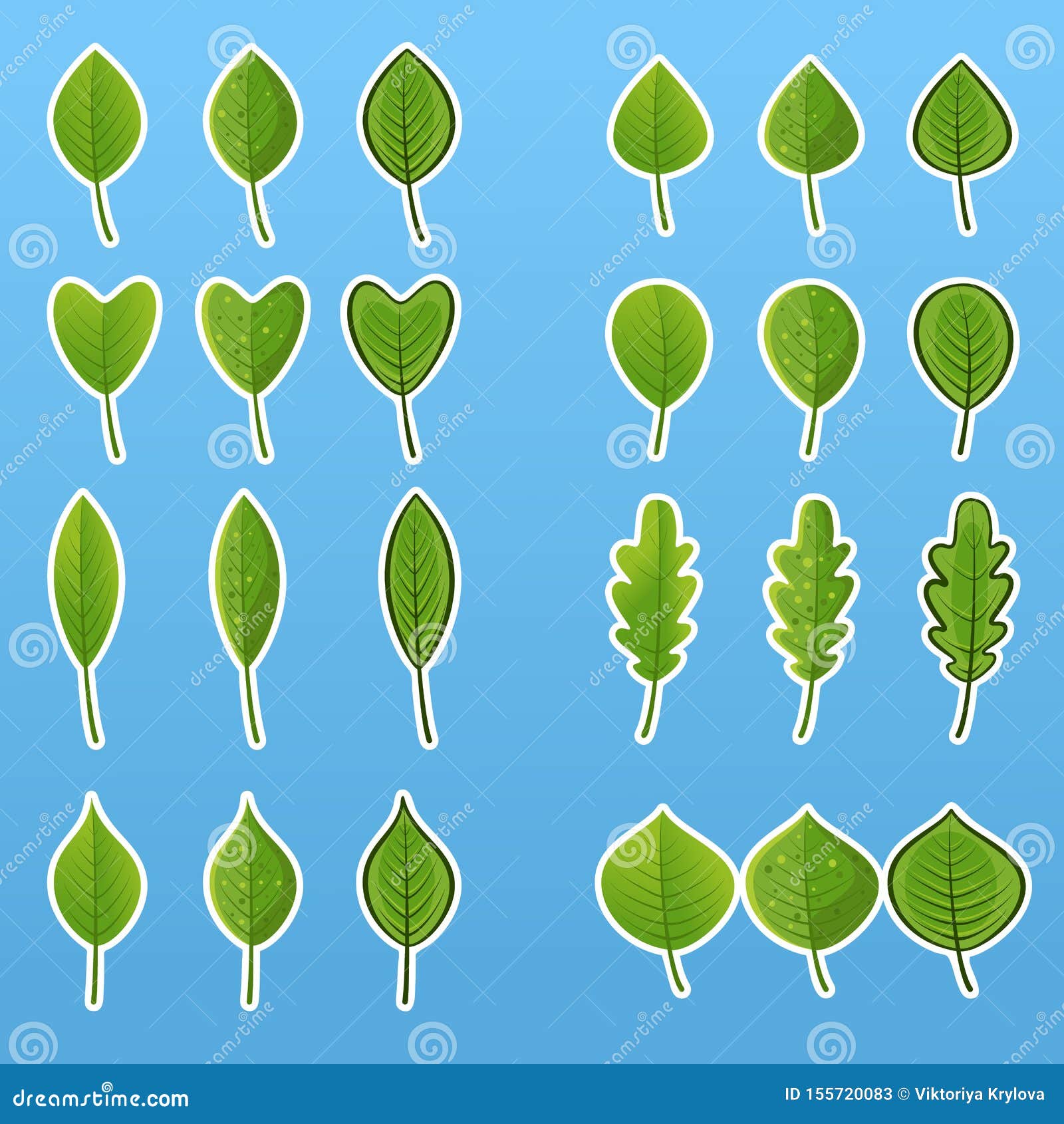 Set of Vector Illustrations of Green Leaves with Smooth Edges Stock ...