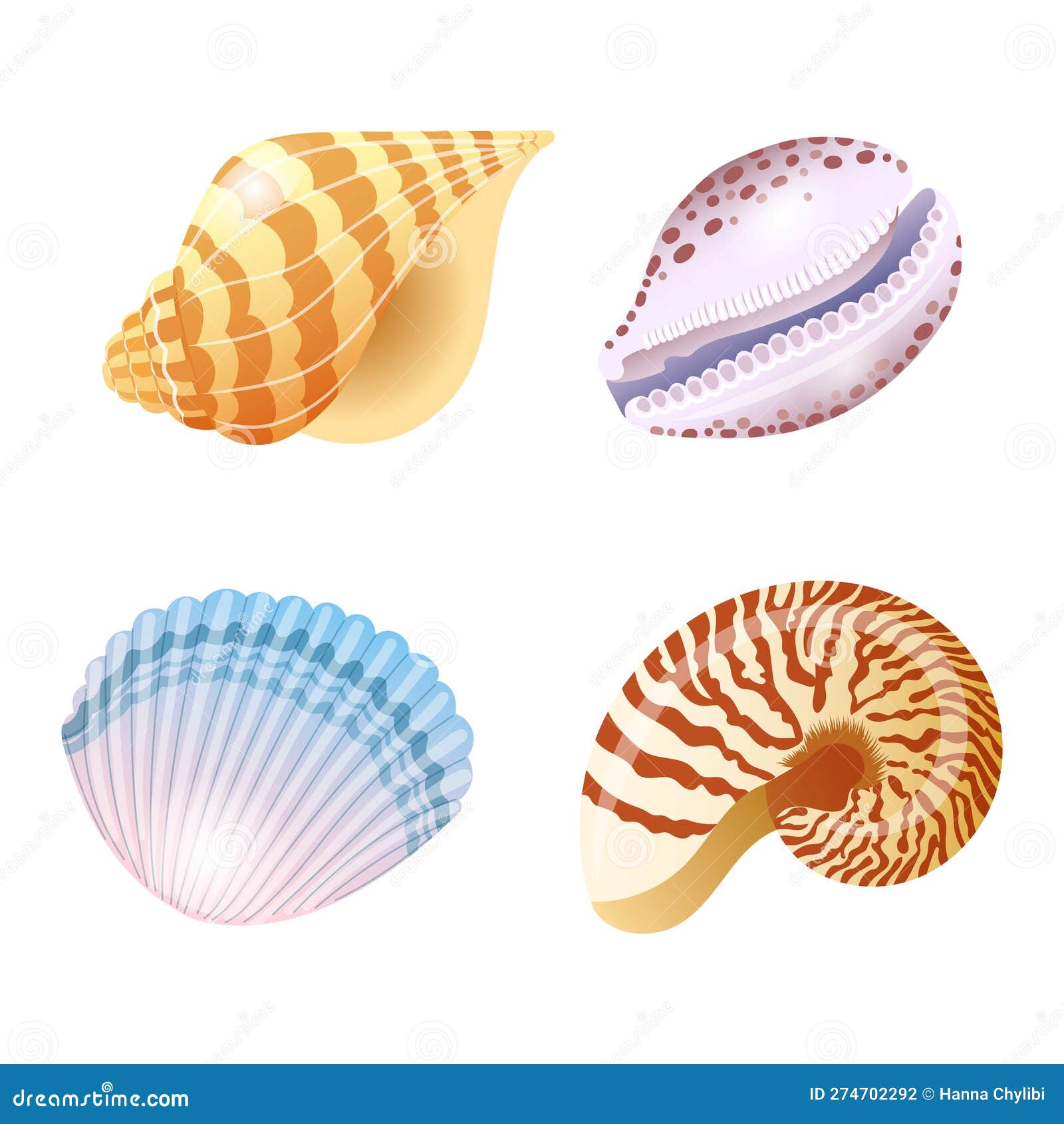 Set of Vector Illustrations of Seashells of Different Shapes and Kinds ...