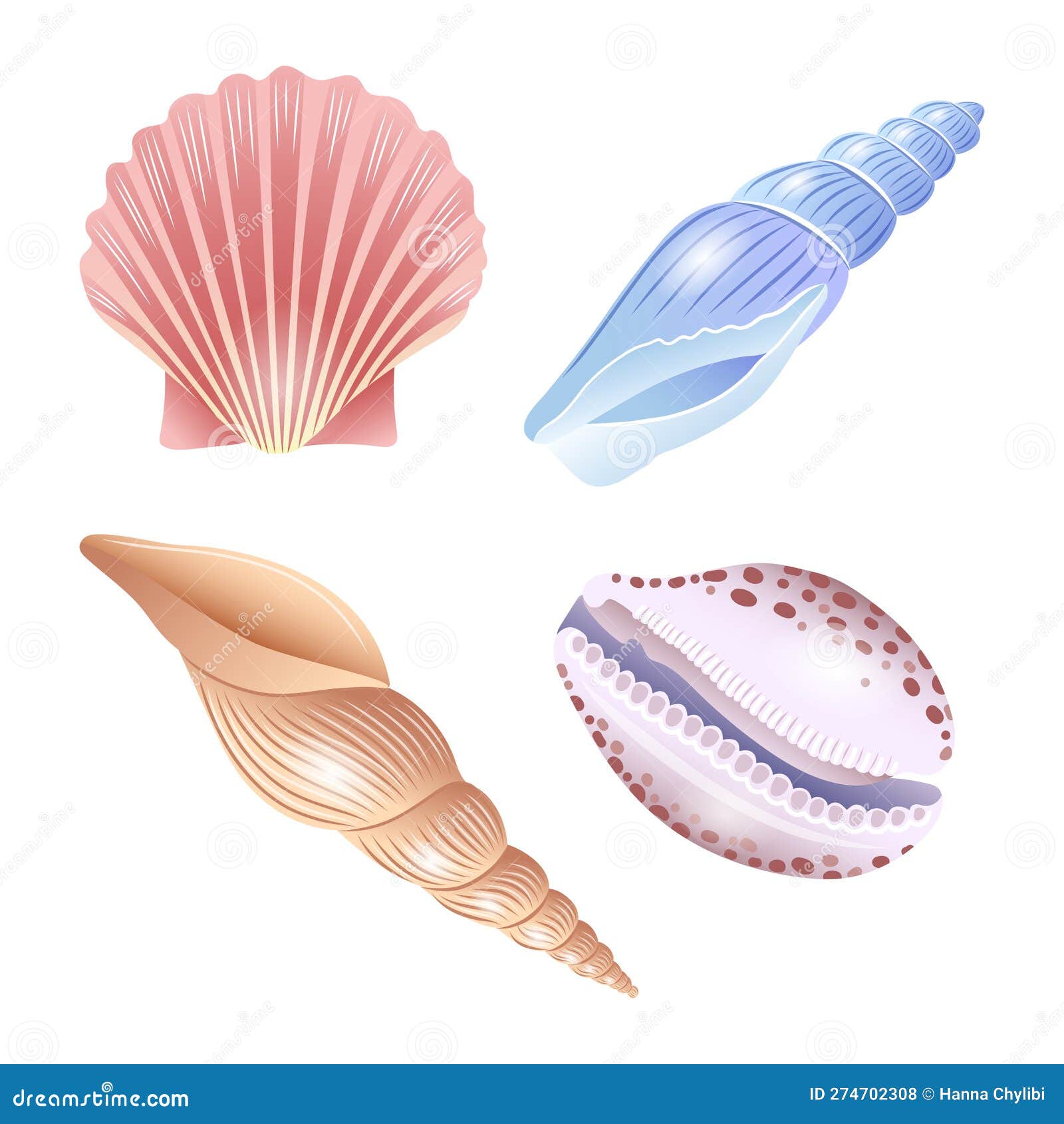 A Set of Vector Illustrations of Seashells of Different Shapes Stock ...