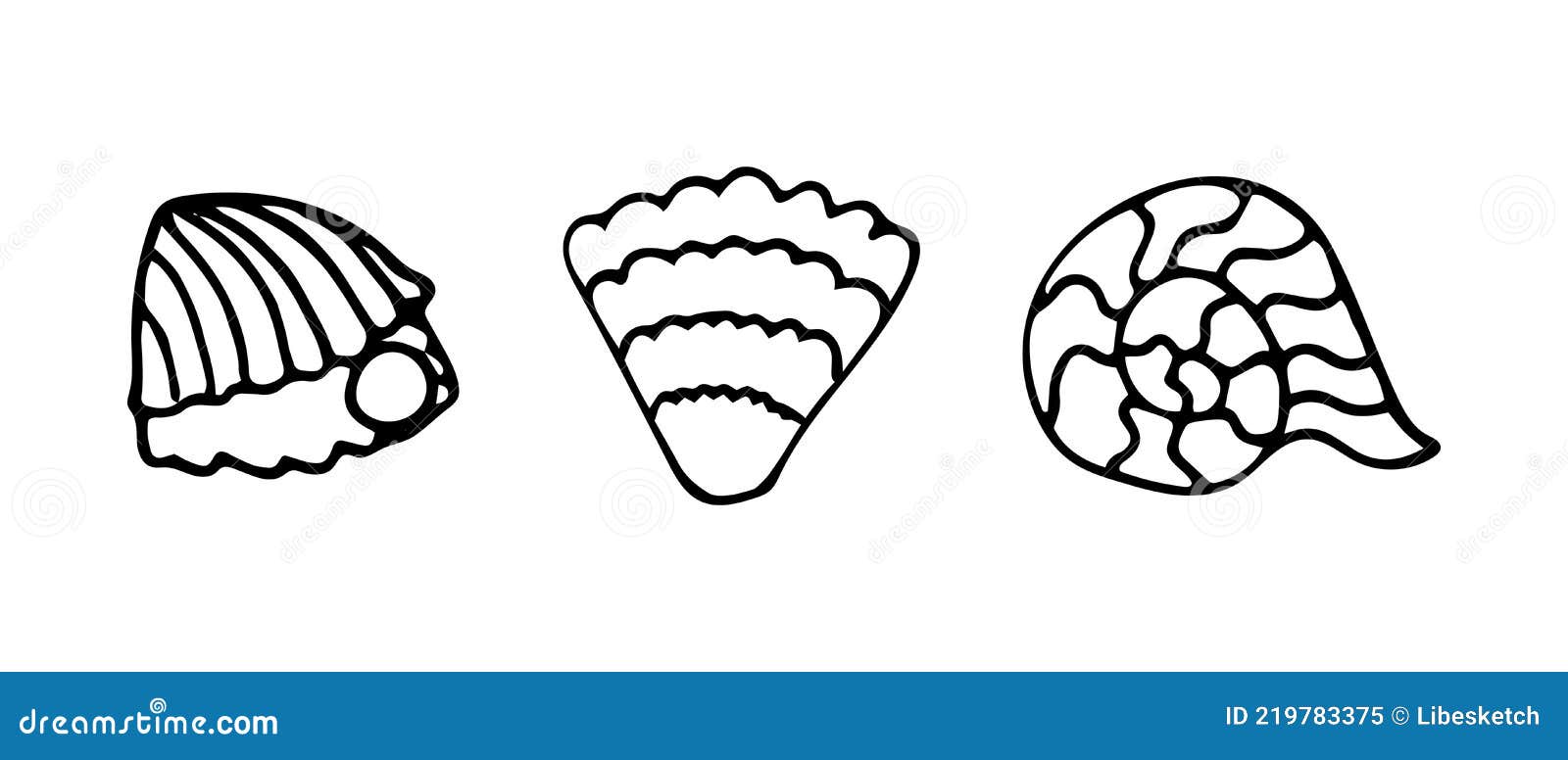 Set of Vector Illustrations of Seashells. Doodle Style Stock Vector ...