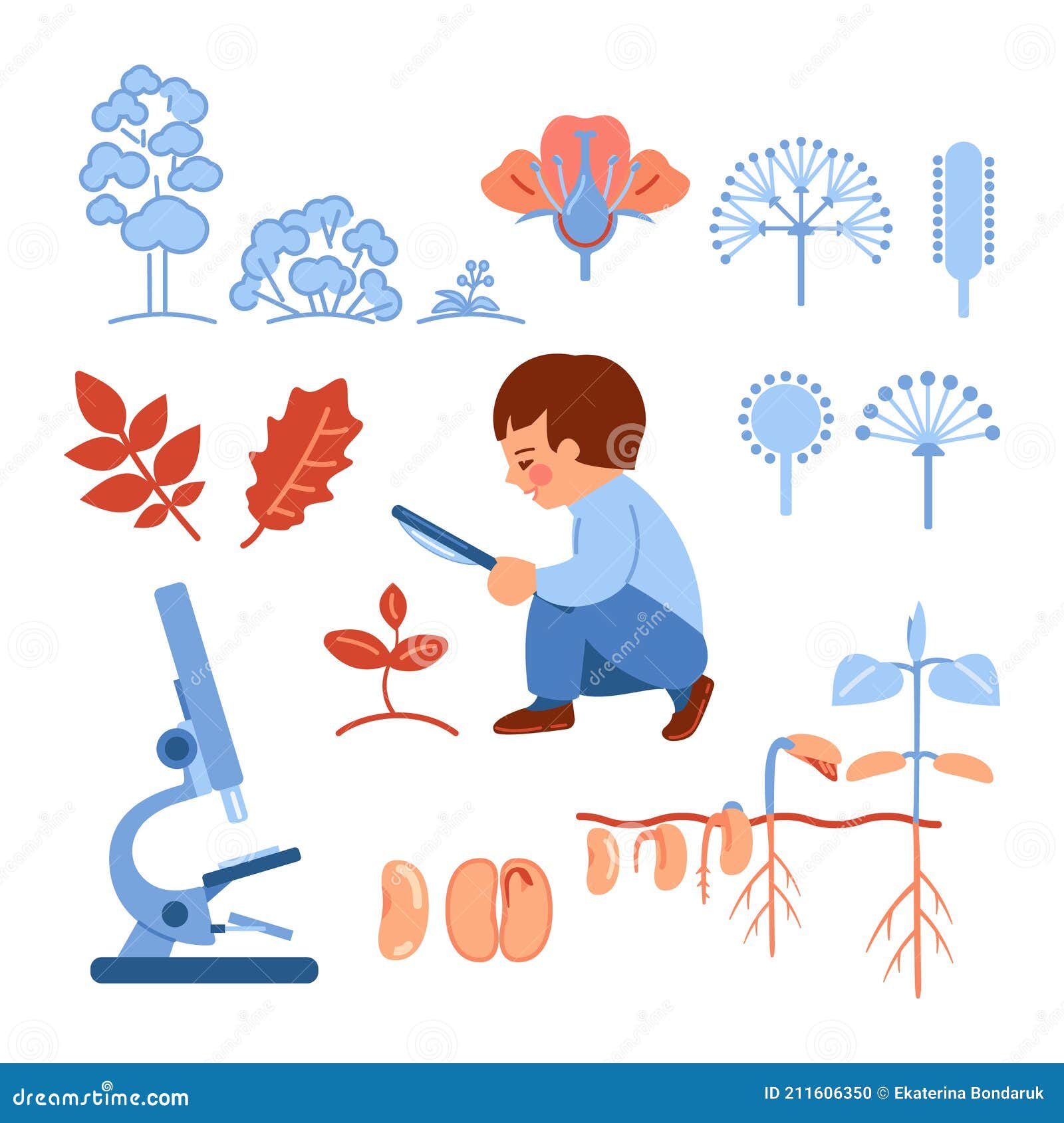 A Set of Vector Illustrations on the Topic of Studying Botany for ...