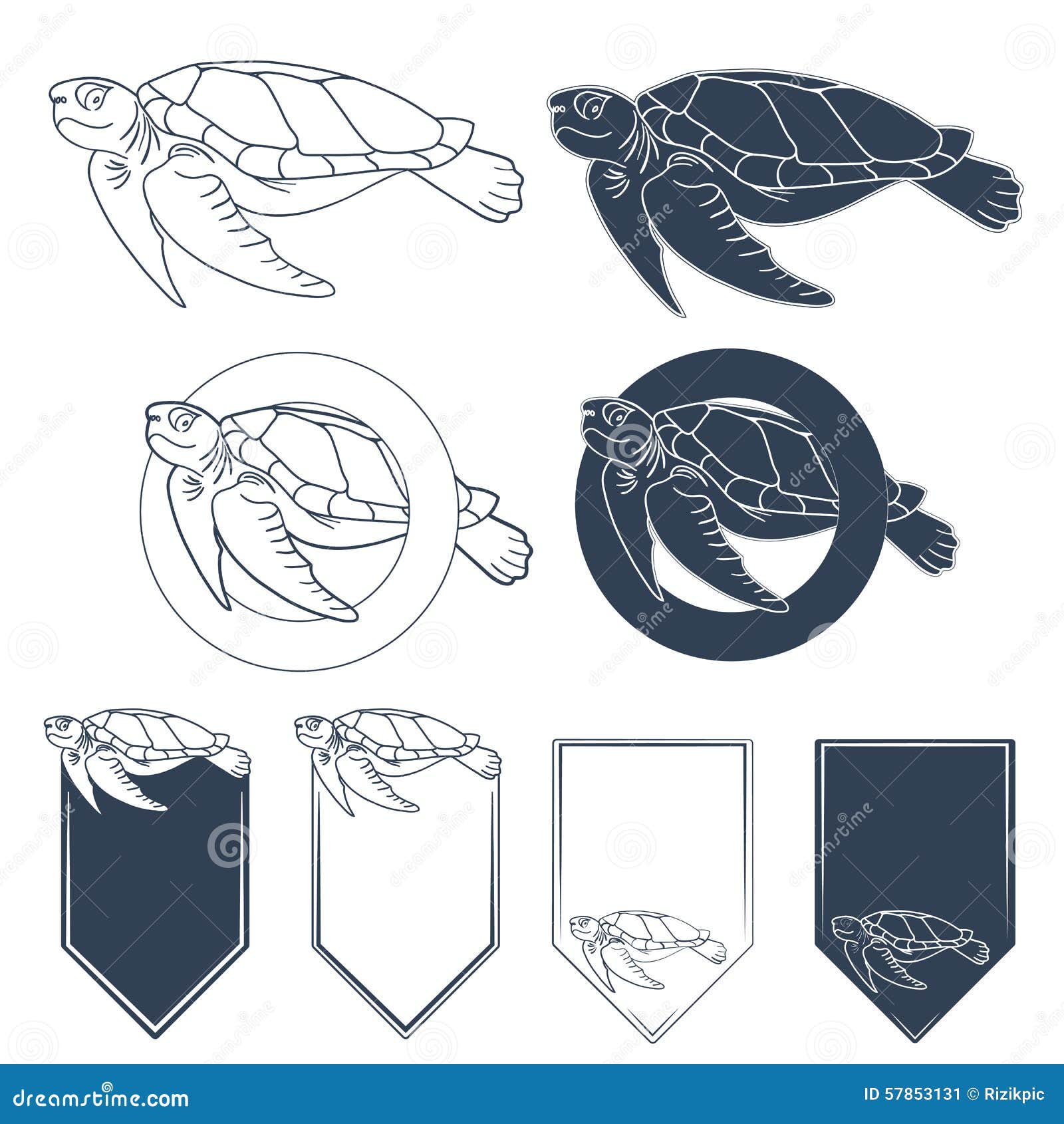 Set of Vector Images with Sea Turtle. EPS10 Stock Vector - Illustration ...