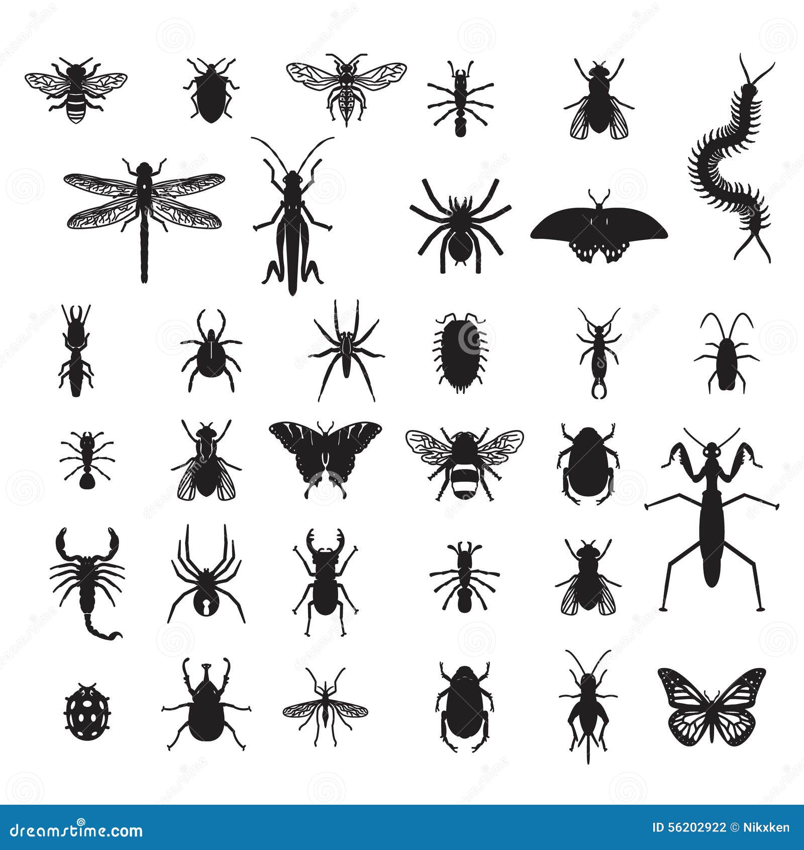 Set of vector insects stock vector. Illustration of mantis - 56202922