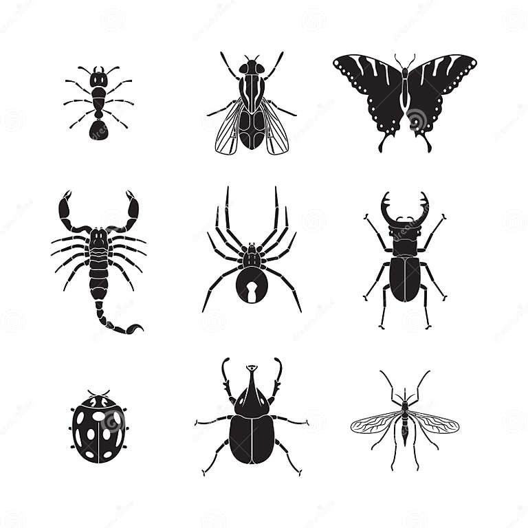 Set of Vector Insects Volume 1 Stock Vector - Illustration of ...