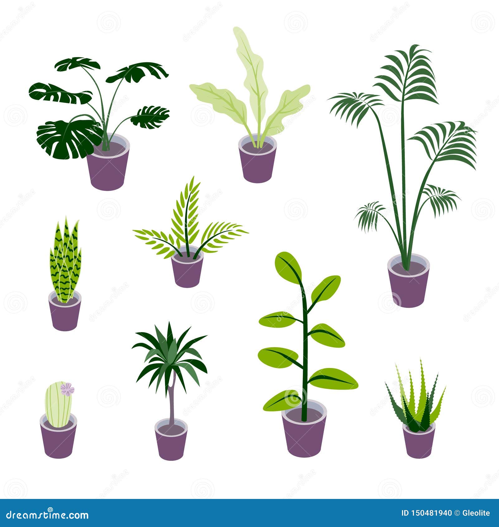 Set of Isometric Potted Plants Illustrations for Indoor Design ...