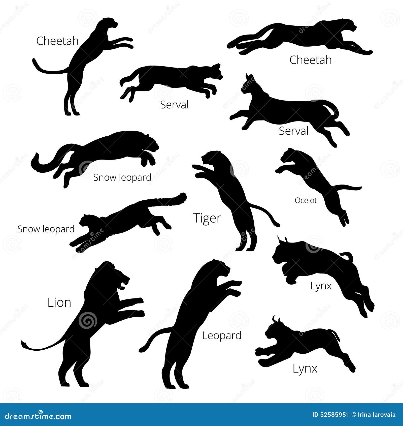 Set of Vector Jumping Big Cats. Stock Vector - Illustration of serval ...