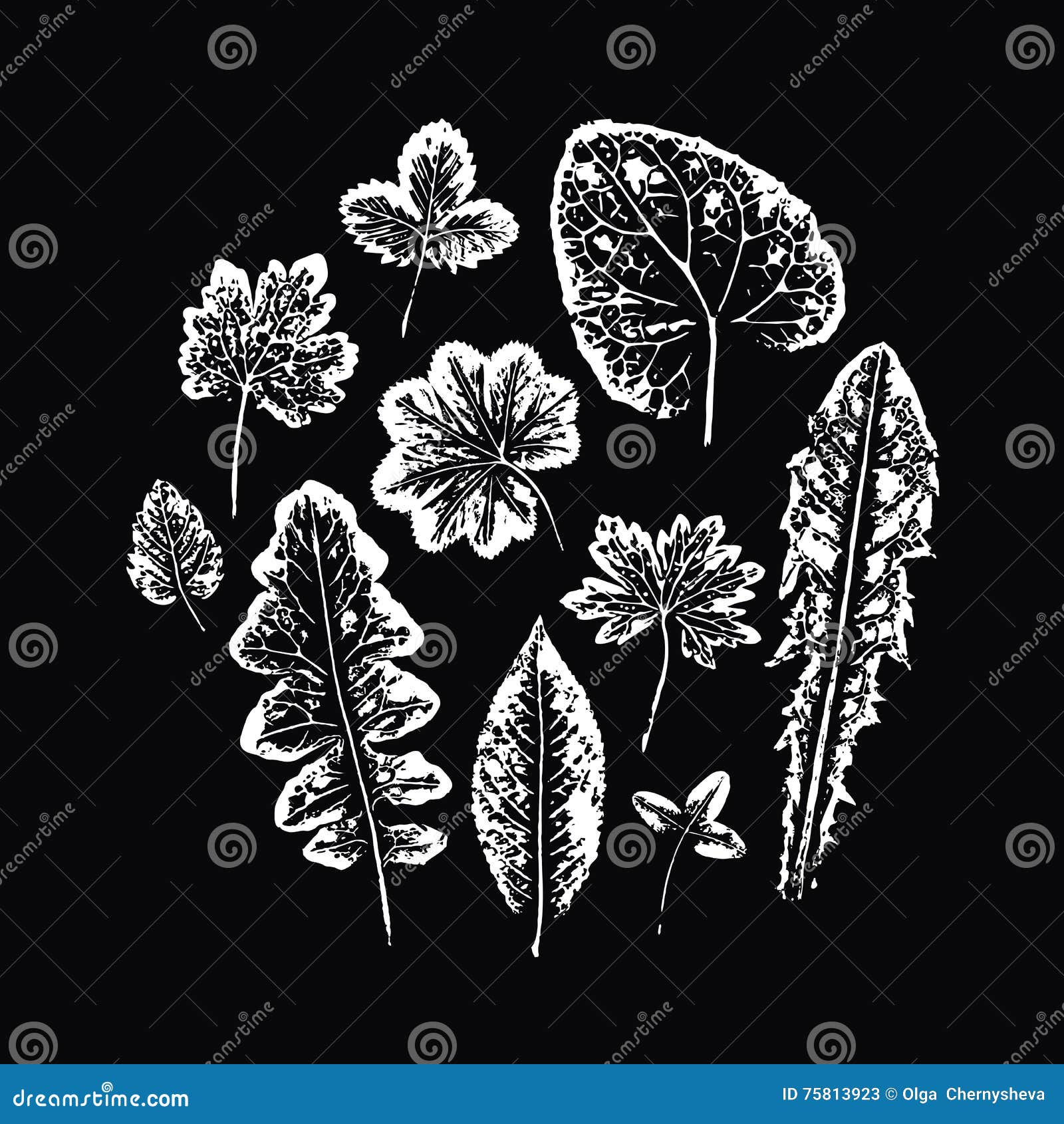 Set of Vector Leaf Imprints Stock Vector - Illustration of effect ...