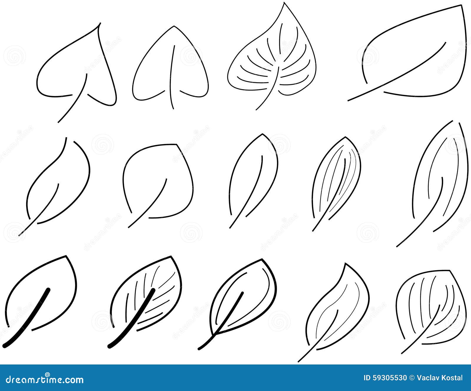 Set of vector leaf stock vector. Illustration of nature - 59305530
