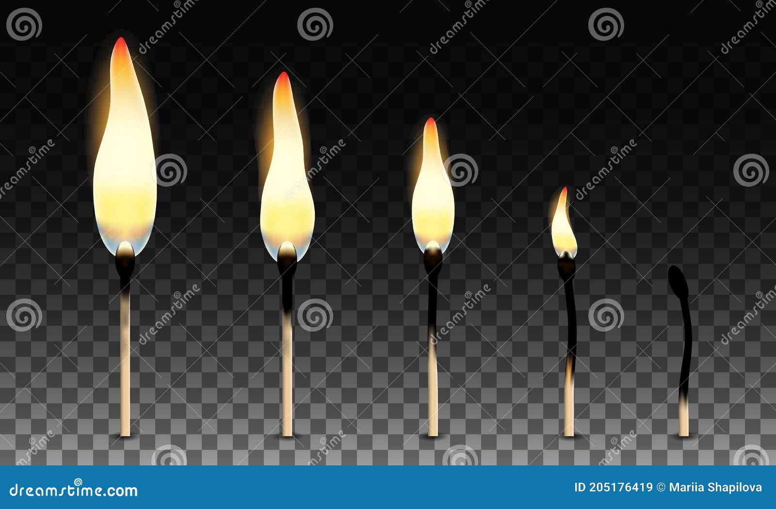 Stages Of Withering, A Wilted Plant In A Pot, Abandoned Houseplant ...