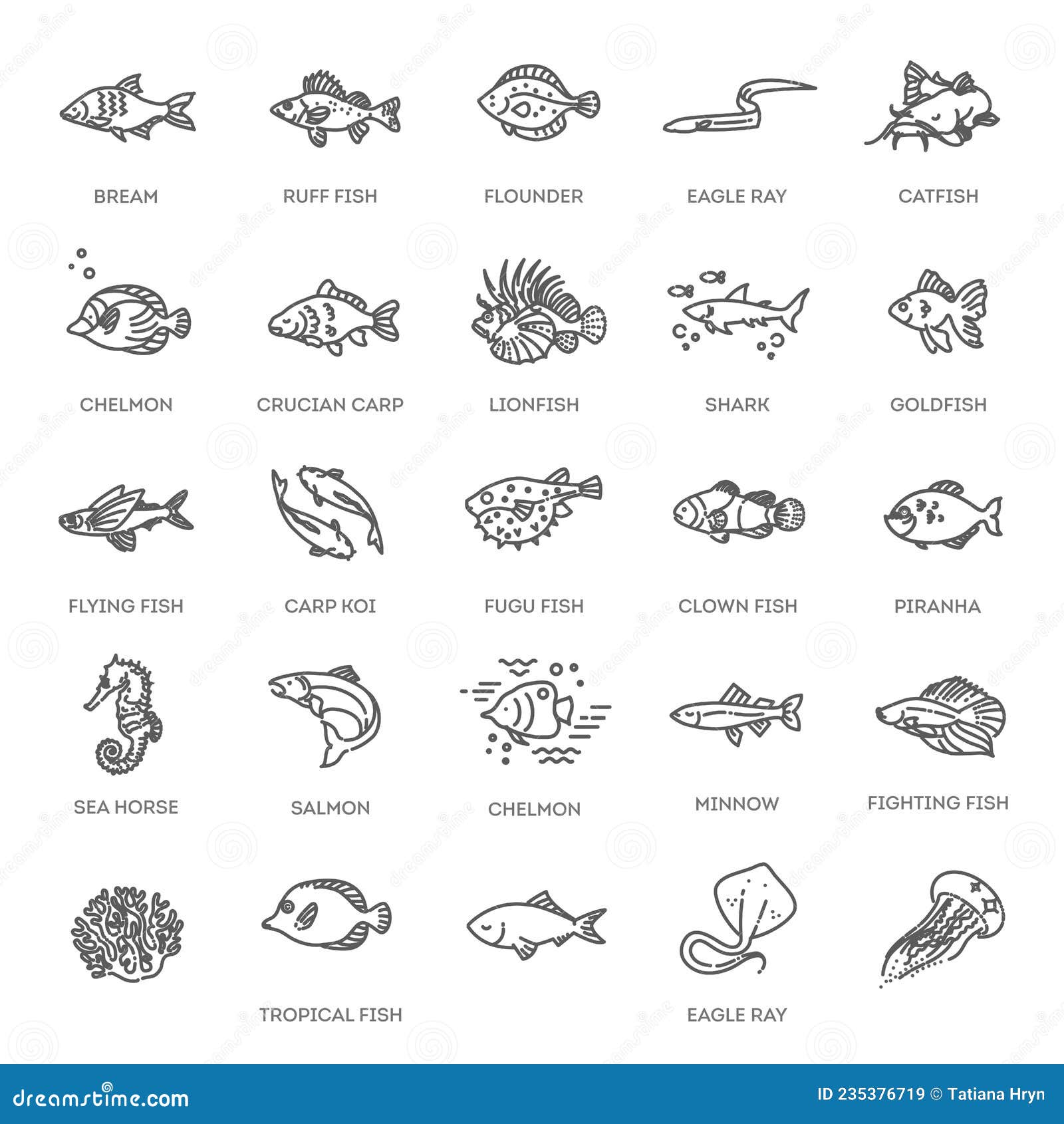 Set of Vector Outline Fish Icons. Vector Collection Stock Vector ...