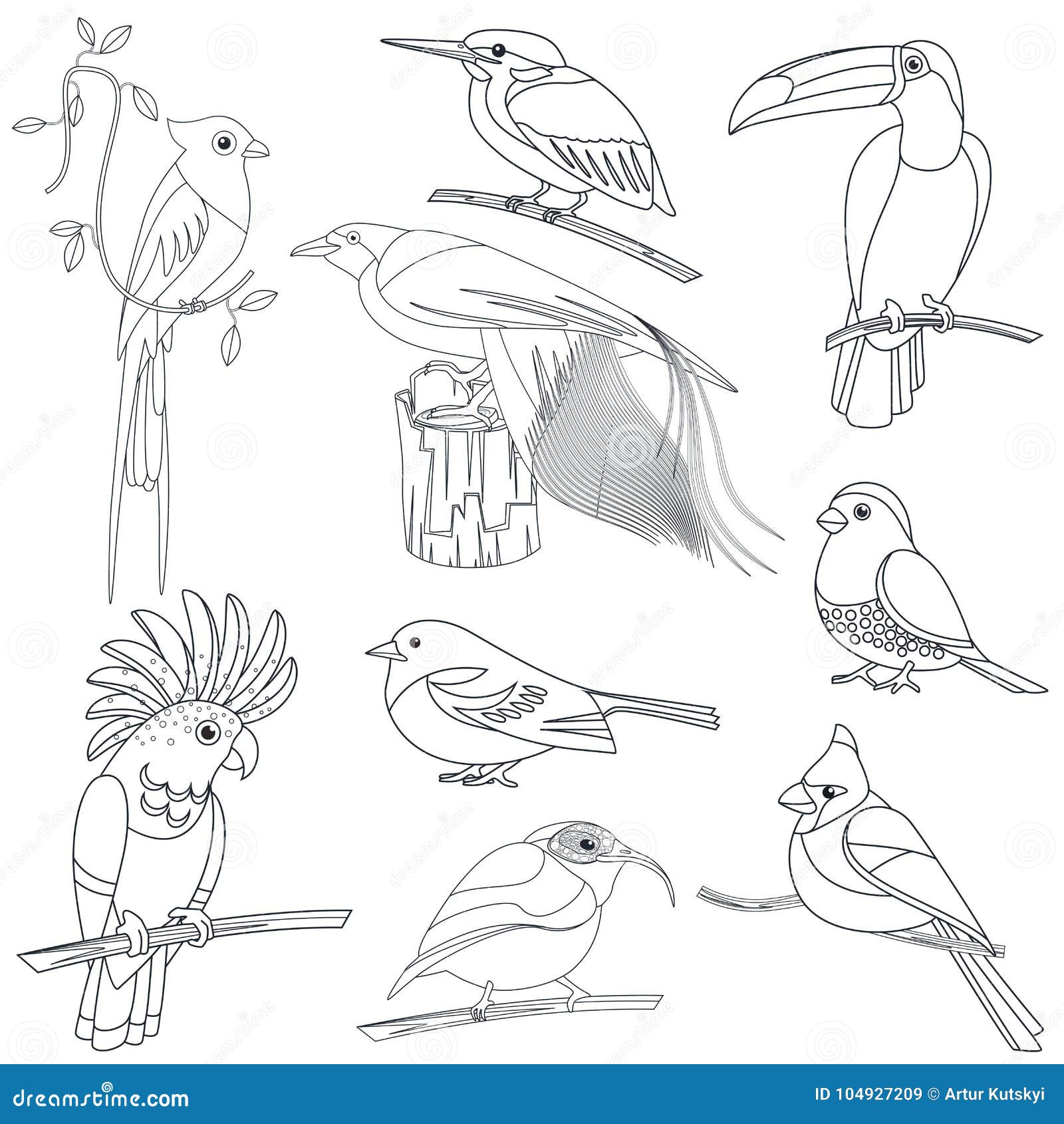 Set of Vector Outline Line Stroke Tropical Exotic Birds Set. Stock ...